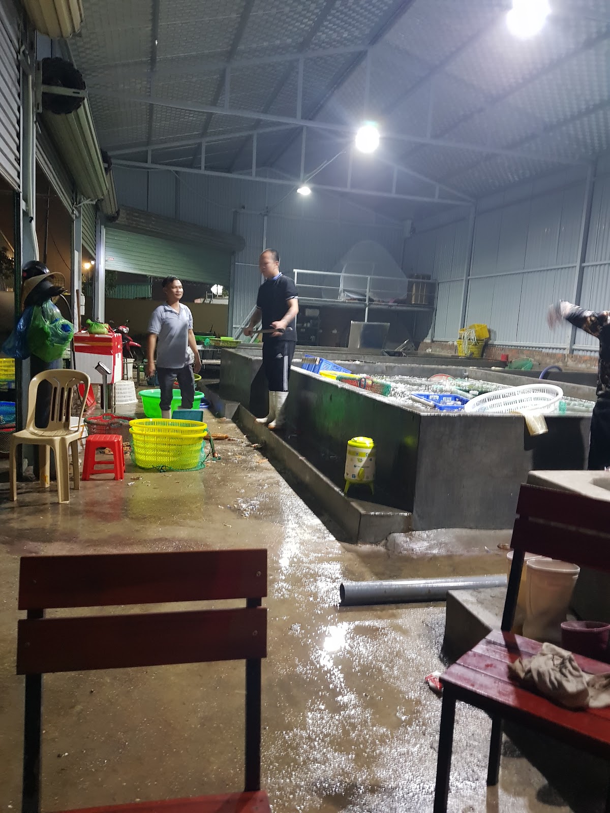 Hon Gai Fish Market (2026) – Best of TikTok, Instagram & Reddit Travel ...