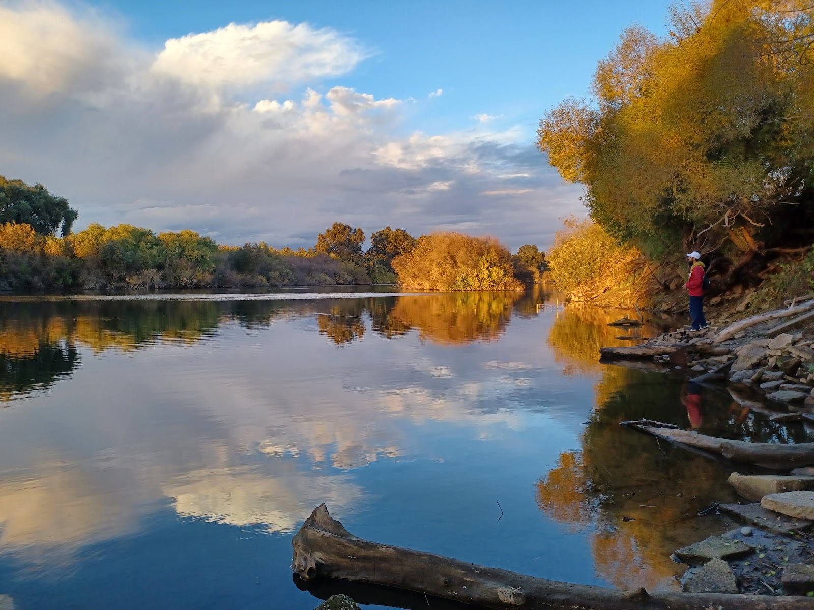 Fox Grove Regional Park (2026) – Best of TikTok, Instagram & Reddit ...