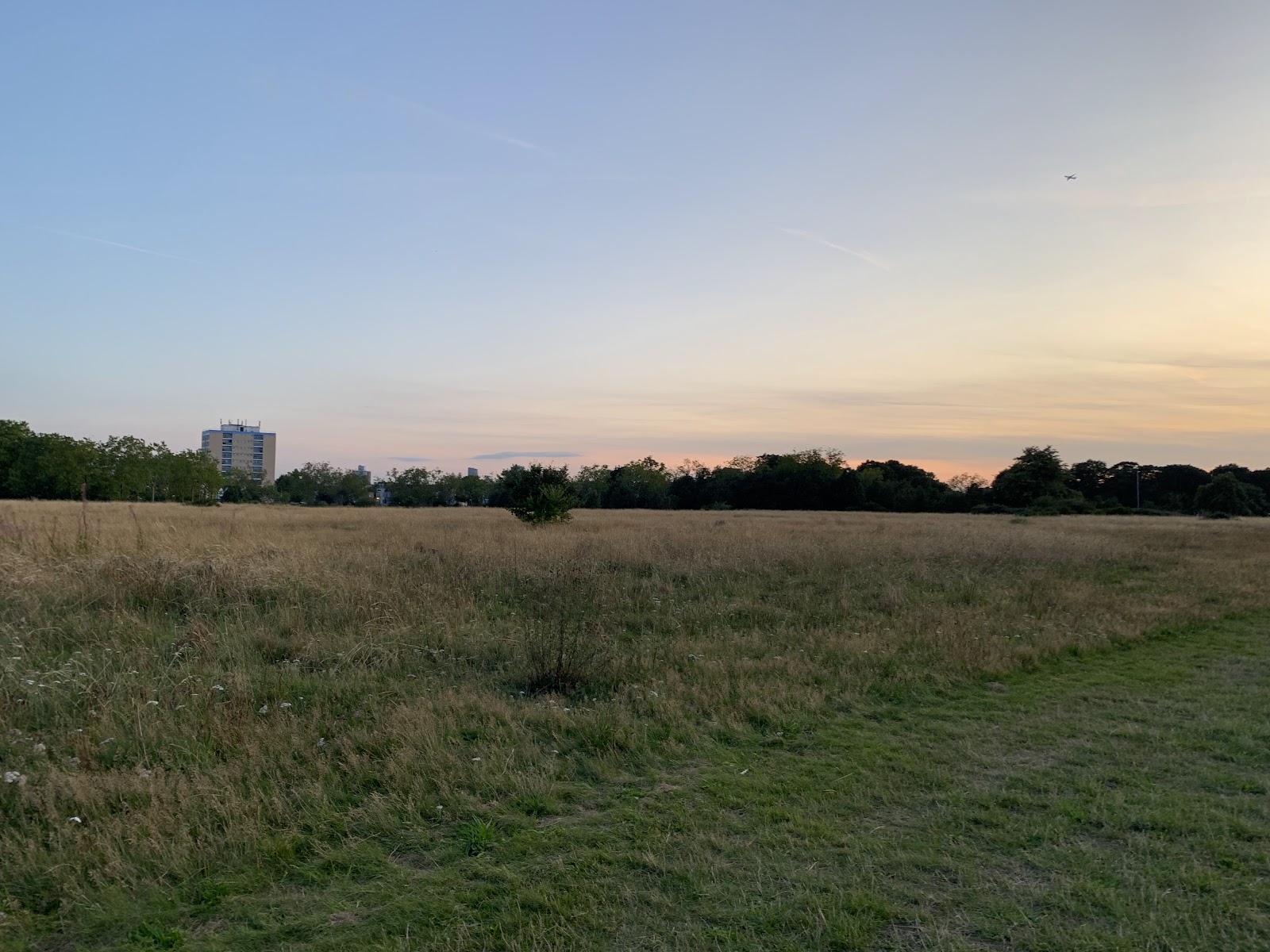 Wanstead Flats (2026) – Best of TikTok, Instagram & Reddit Travel Guide