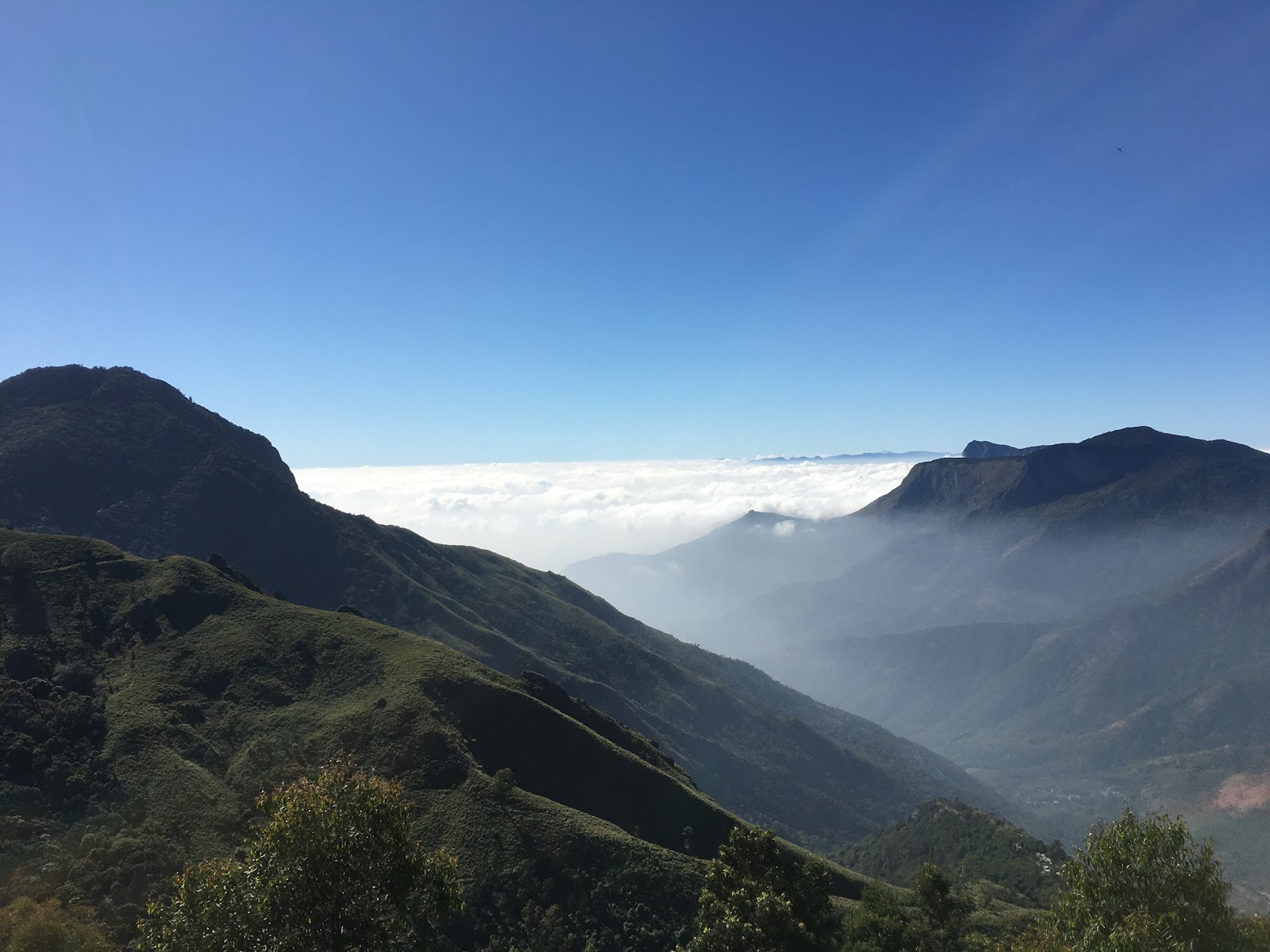Munnar Top Station Scenic Drive (2026) – Best of TikTok, Instagram ...
