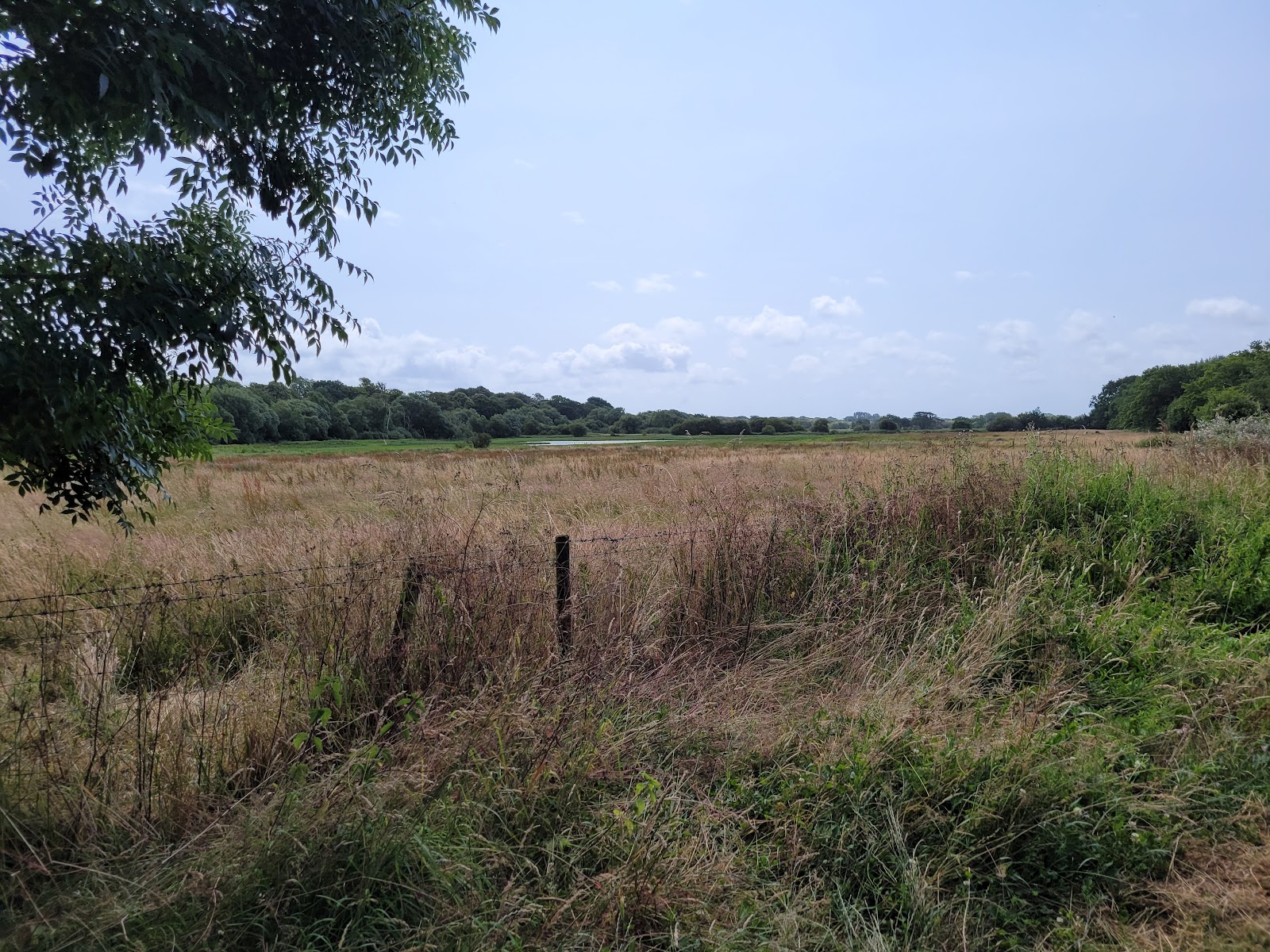 Titchfield Canal Path Meon Navigation (2026) – Best of TikTok ...