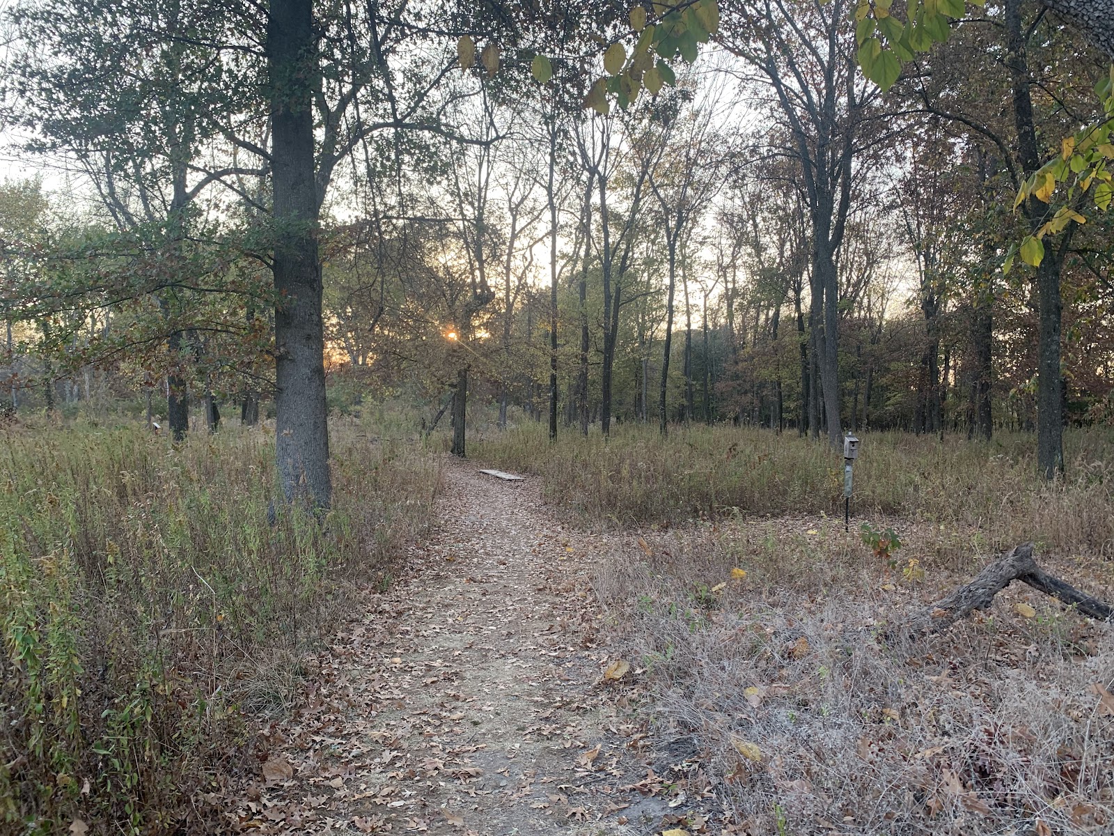 Wilson Springs Preserve (2026) – Best of TikTok, Instagram & Reddit ...