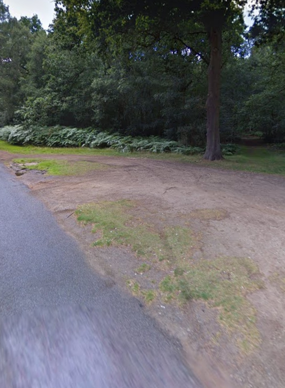Sandringham Country Park (2026) – Best of TikTok, Instagram & Reddit ...