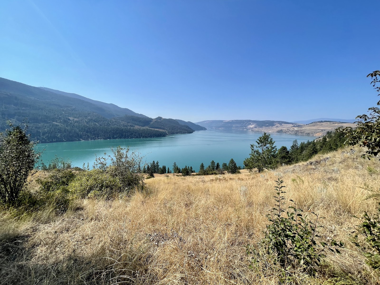 Cosens Bay Beach (2026) – Best of TikTok, Instagram & Reddit Travel Guide