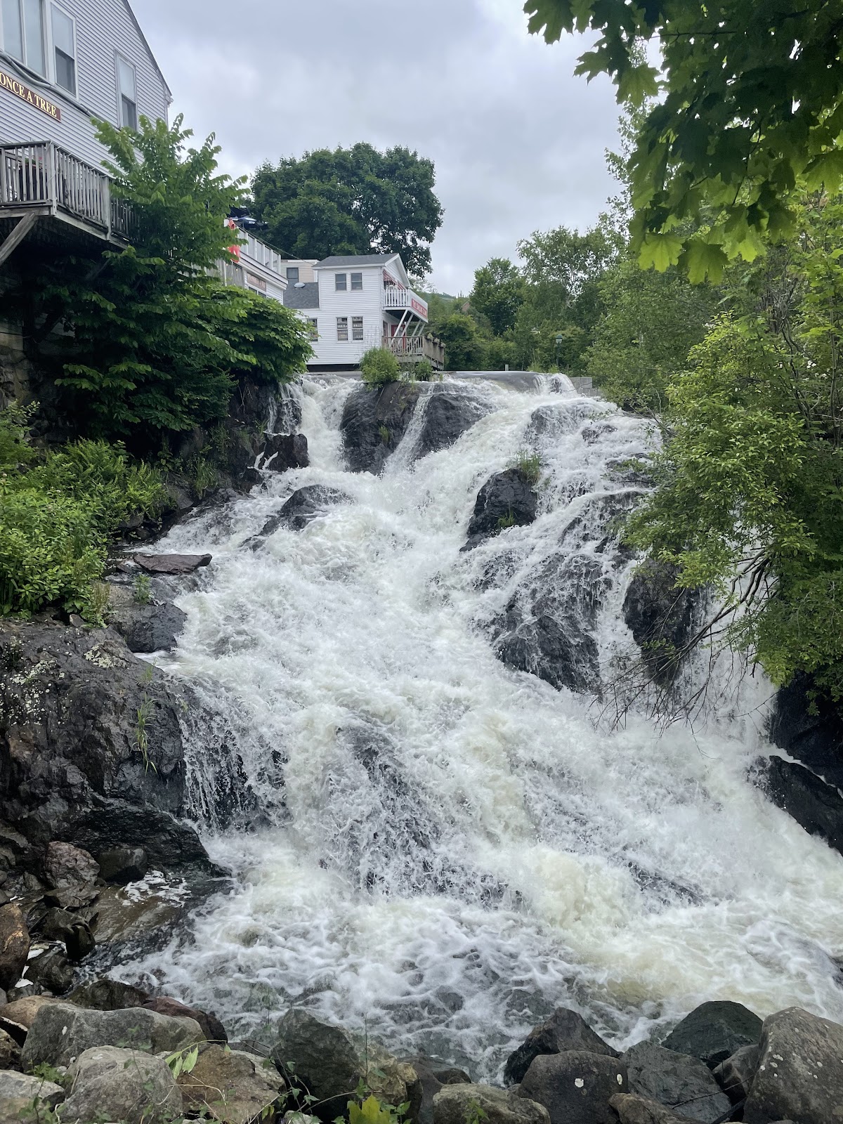 Megunticook Falls (2026) – Best of TikTok, Instagram & Reddit Travel Guide