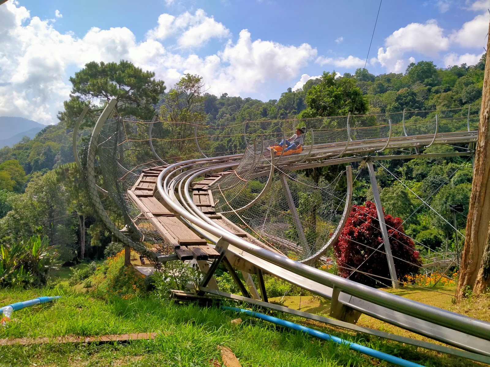 Pong Yang Jungle Coaster Chiang Mai (2026) – Best of TikTok, Instagram ...