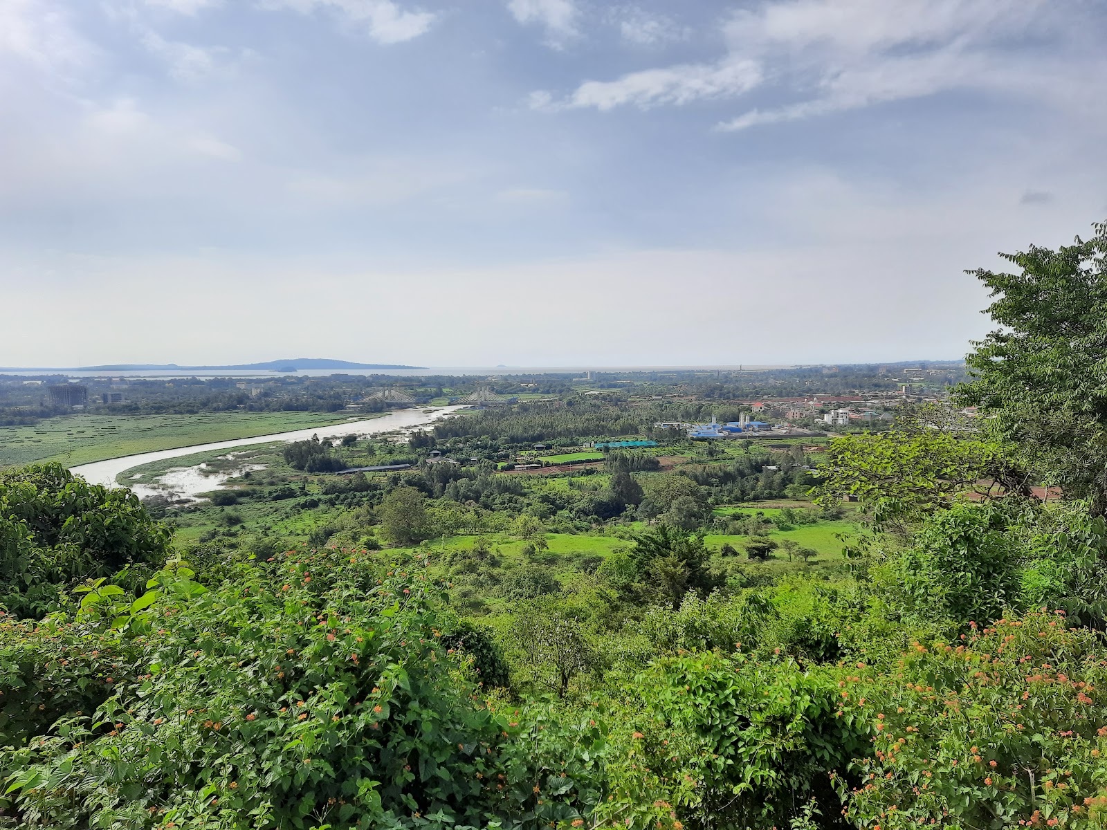 Bezawit Palace Bezawit Hill (2025) – Best of TikTok, Instagram & Reddit Travel Guide