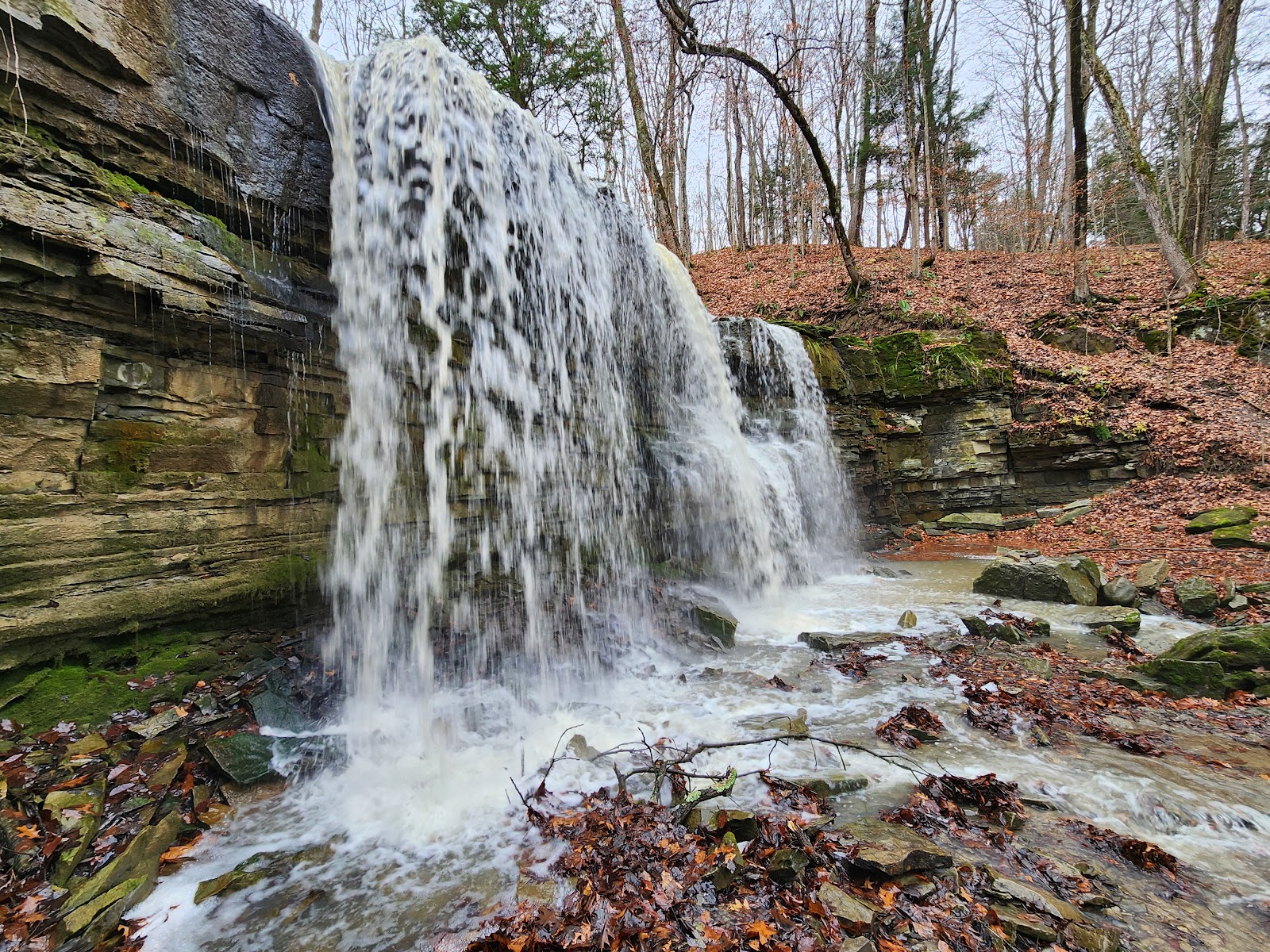 Terrace Creek Falls (2026) – Best of TikTok, Instagram & Reddit Travel ...