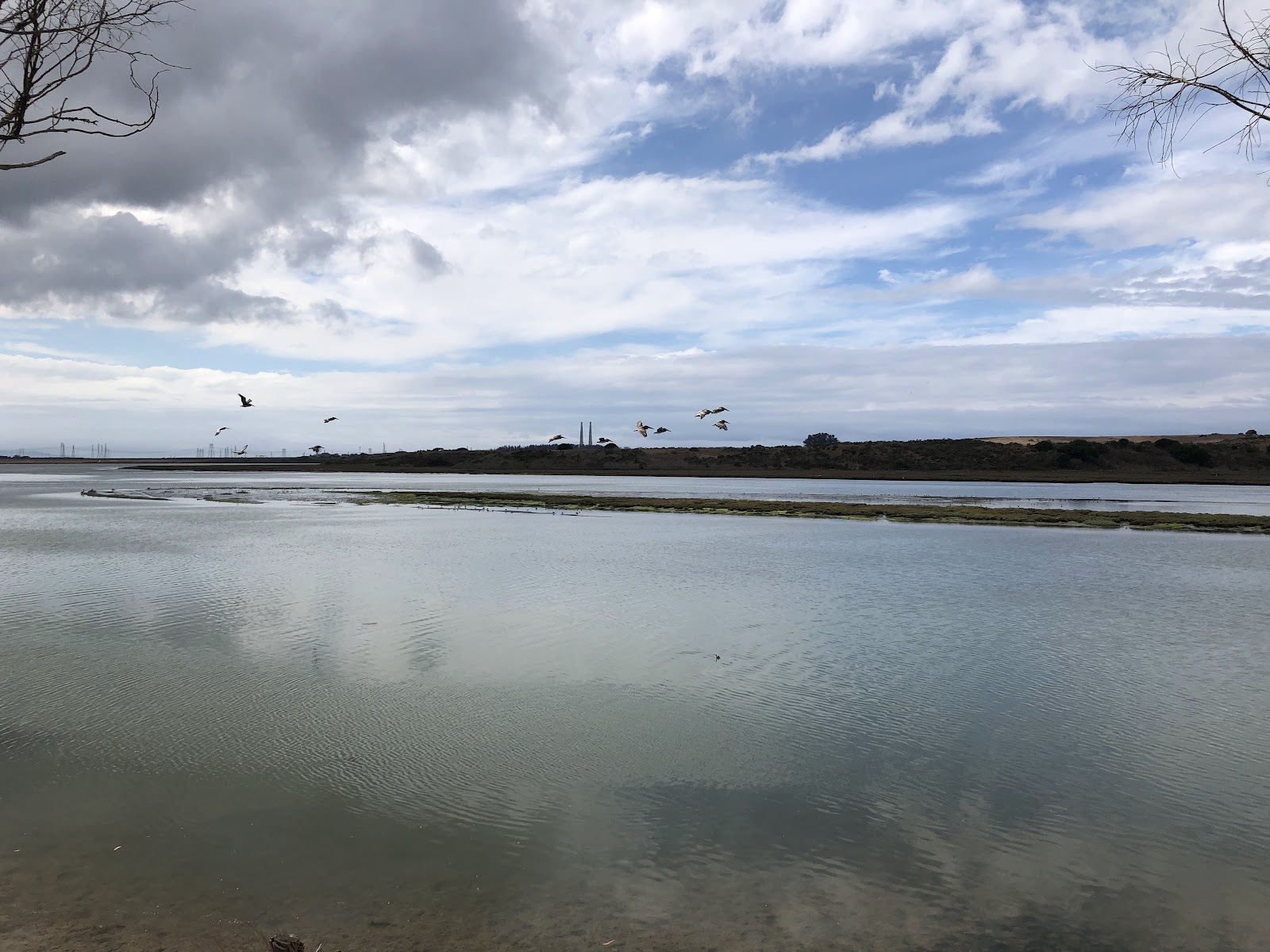 Elkhorn Slough National Estuarine Research Reserve (2026) – Best of ...