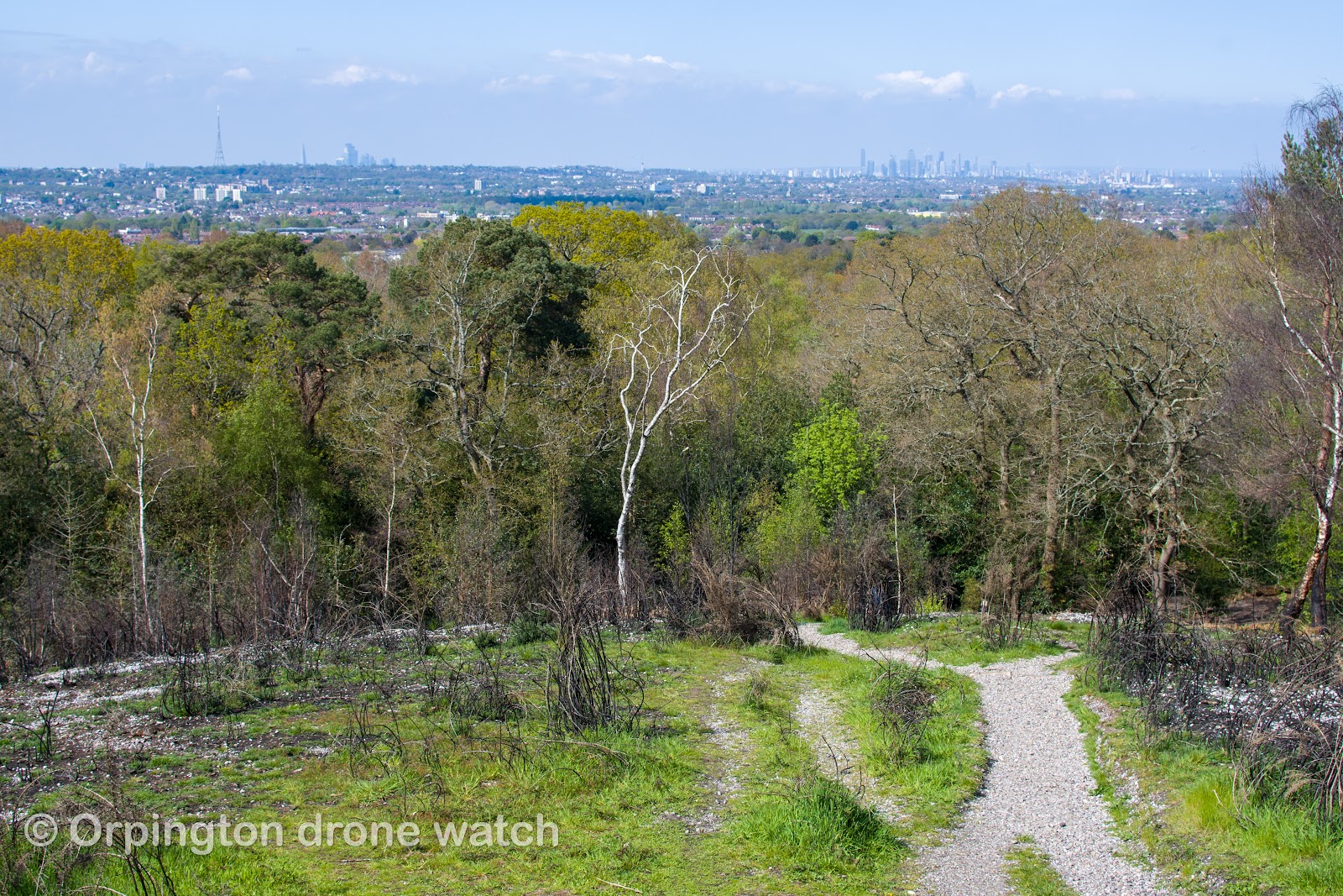 Addington Hills Viewpoint (2026) – Best of TikTok, Instagram & Reddit ...