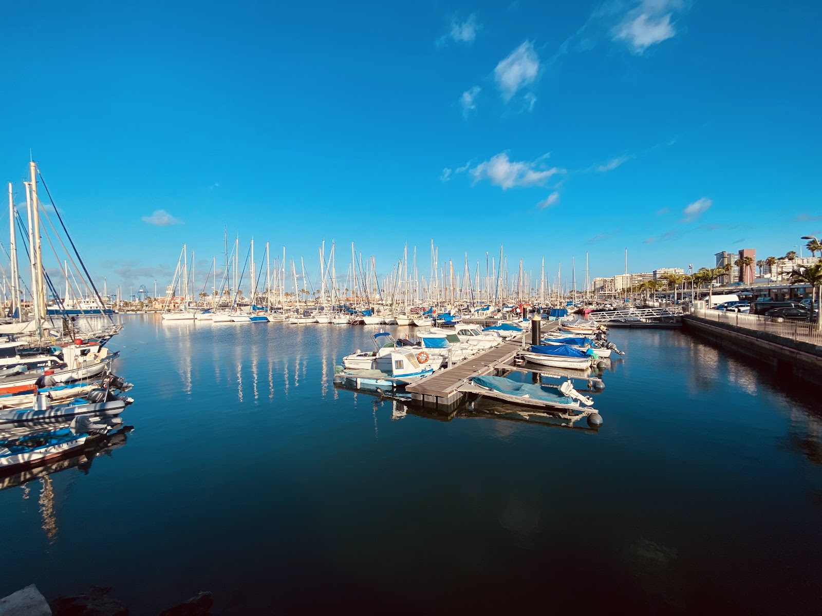 Muelle Deportivo Marina (2026) – Best of TikTok, Instagram & Reddit ...