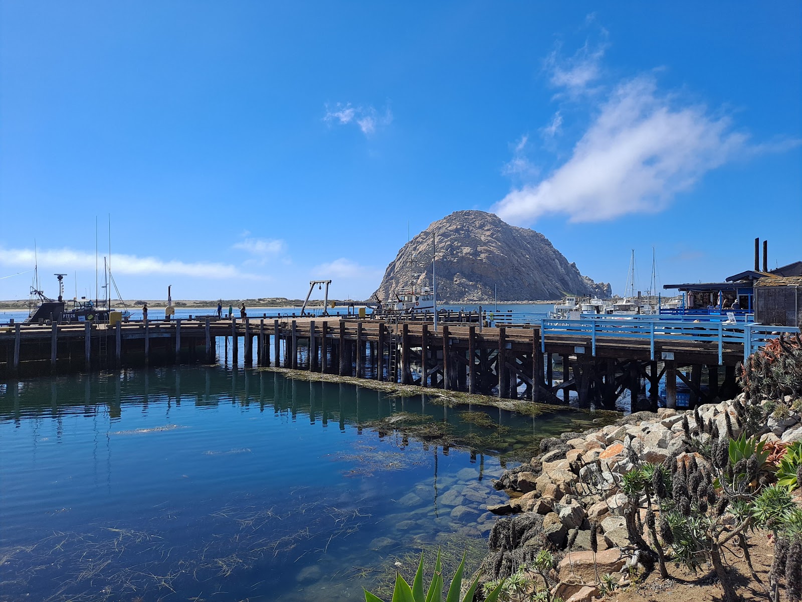 South T-Pier (2026) – Best of TikTok, Instagram & Reddit Travel Guide