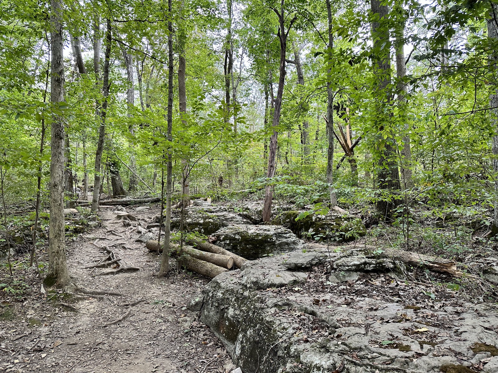 Wilderness Station Barfield (2025) – Best of TikTok, Instagram & Reddit ...