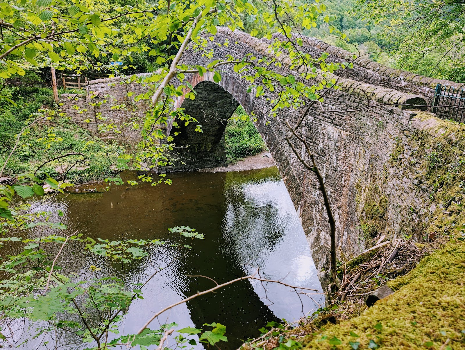 Taff Trail Cardiff (2026) – Best of TikTok, Instagram & Reddit Travel Guide