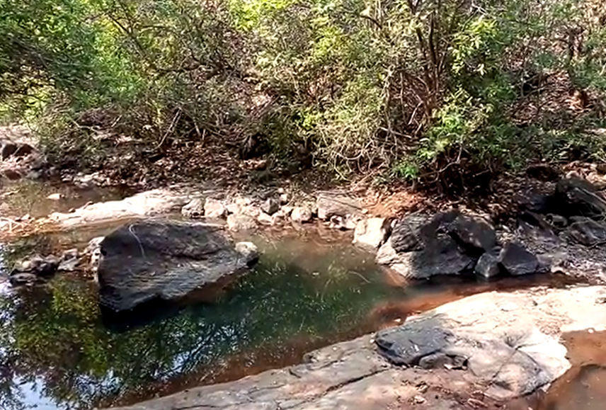 Bhatsa River Valley Viewpoint (2026) – Best of TikTok, Instagram ...