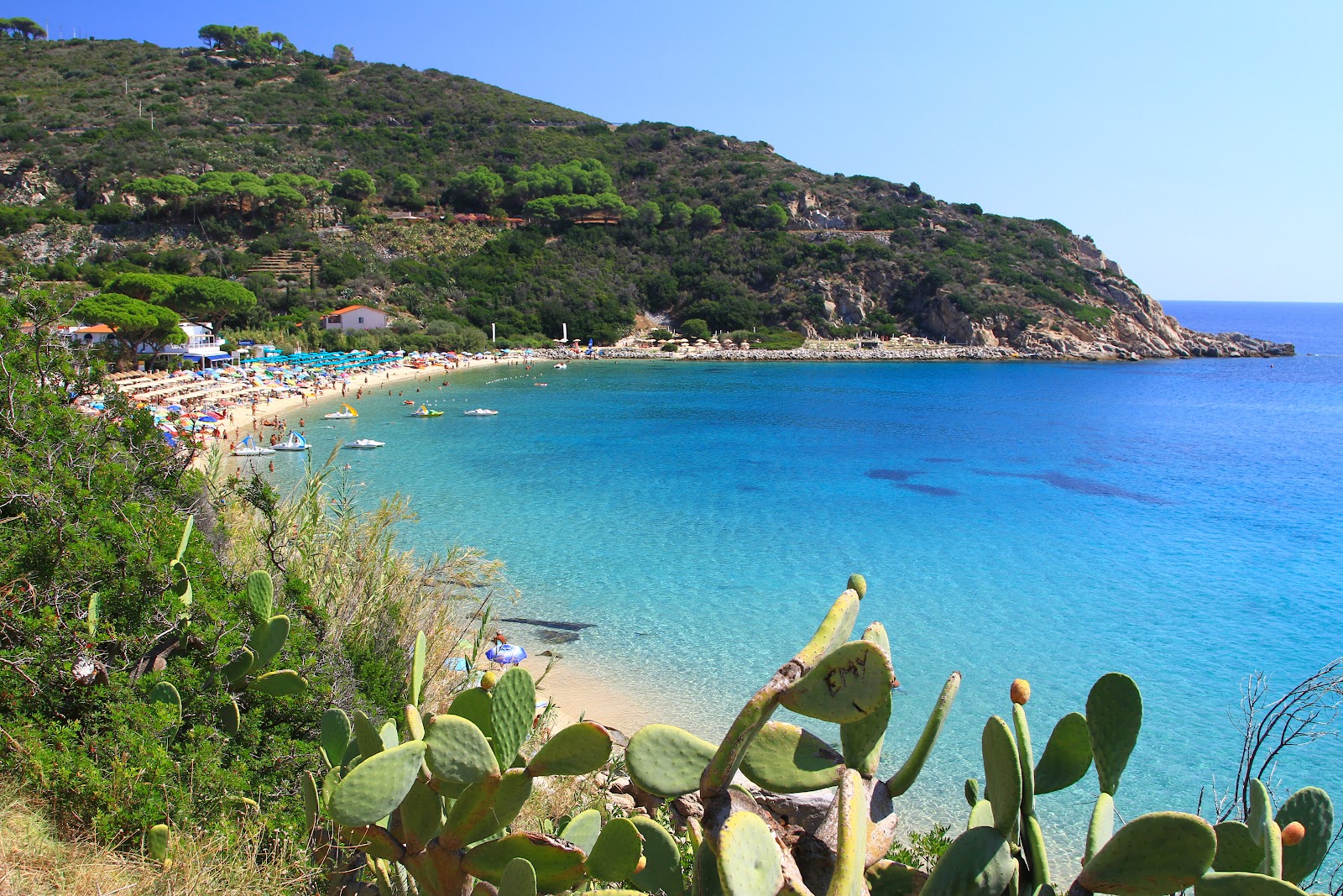 Cavoli Beach (2026) – Best of TikTok, Instagram & Reddit Travel Guide