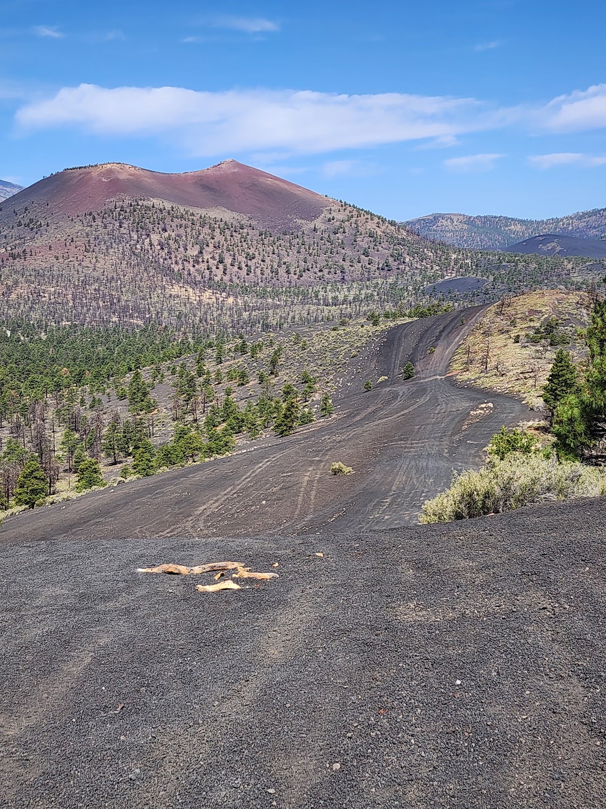 Cinder Hills OHV Area (2026) – Best of TikTok, Instagram & Reddit ...