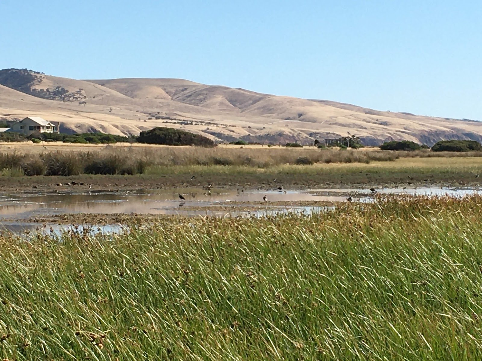 Aldinga Reef Aquatic Reserve (2026) – Best of TikTok, Instagram ...