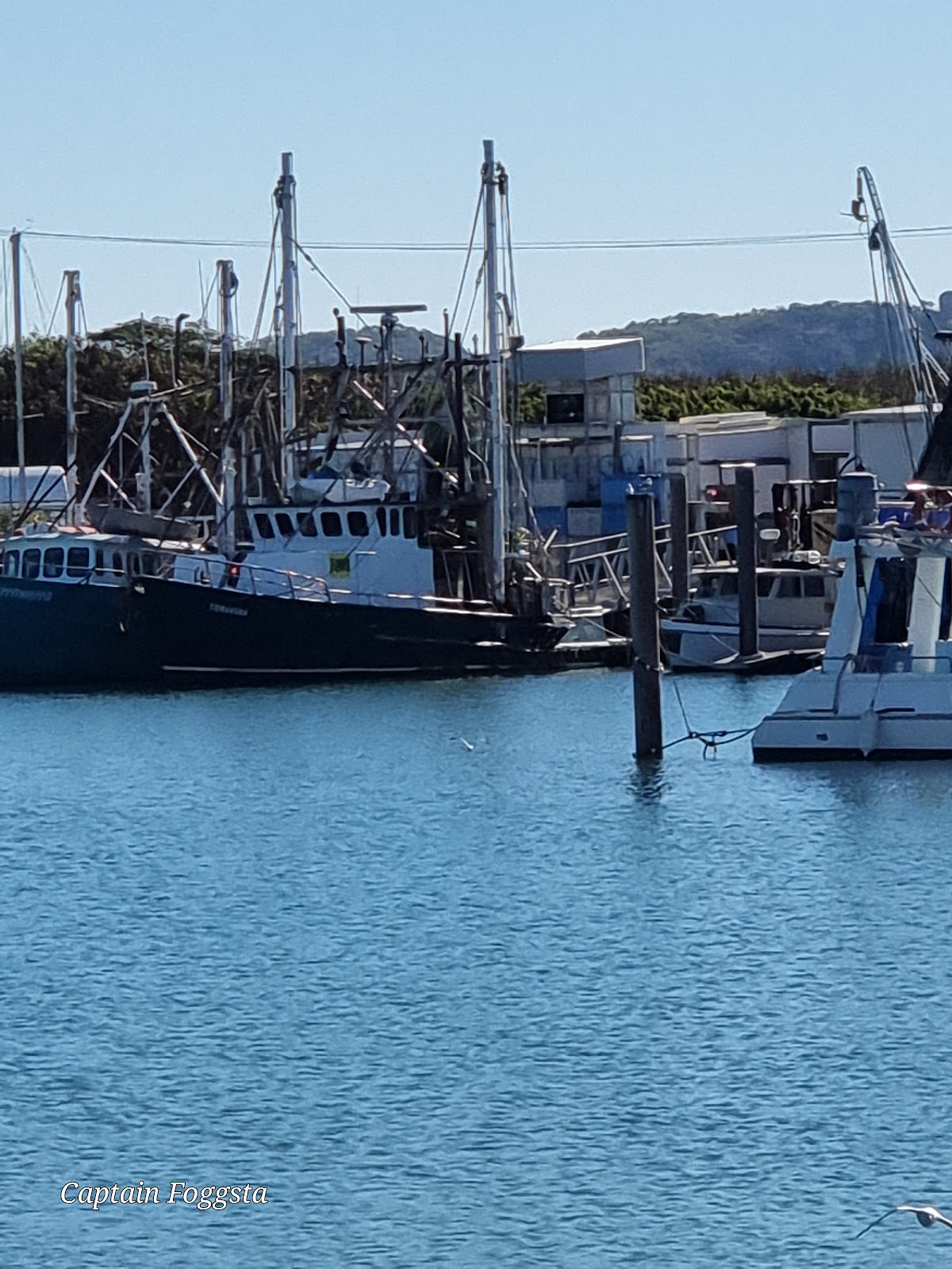 Port Denison Boat Harbour (2026) – Best of TikTok, Instagram & Reddit ...