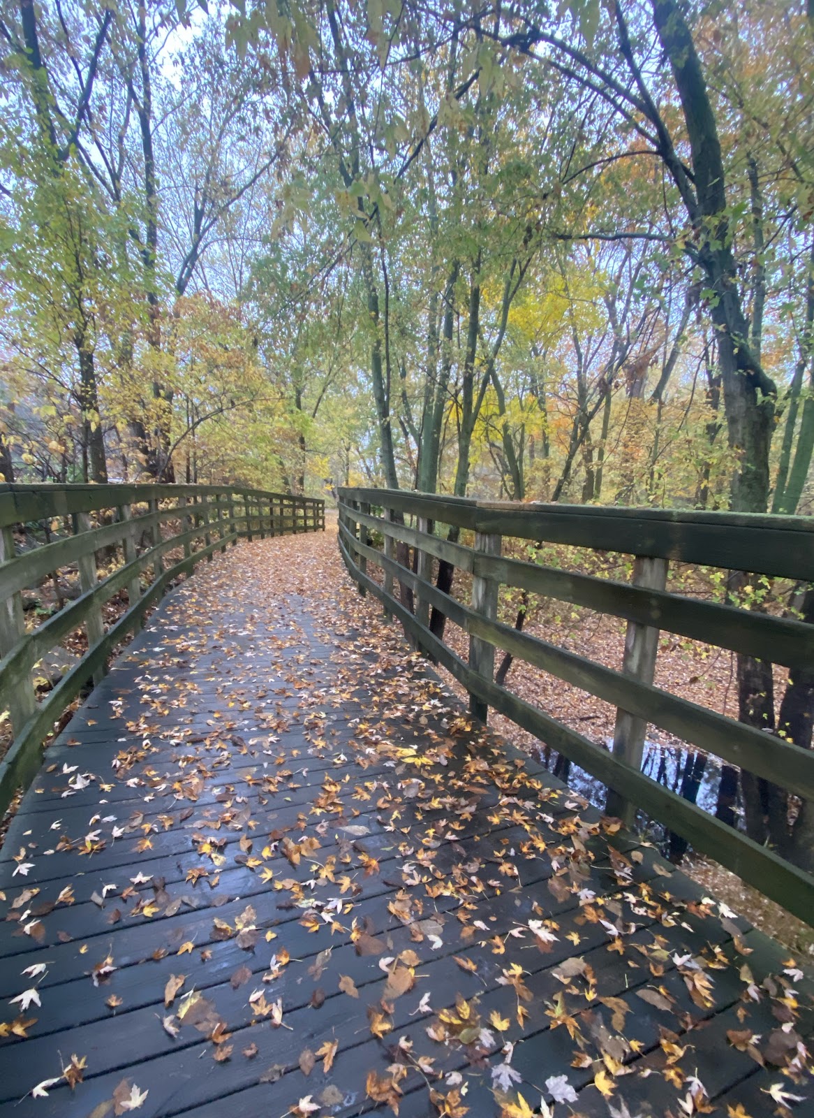 Hongmei River Greenway (2025) – Best of TikTok, Instagram & Reddit ...