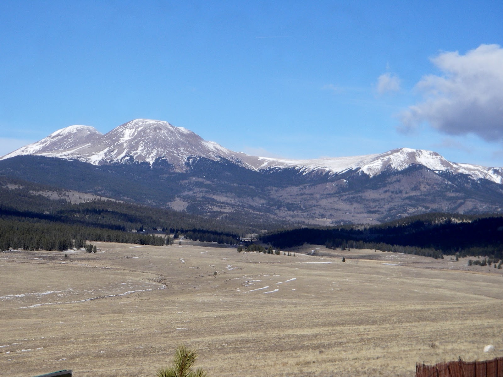 Buffalo Peaks Wilderness Colorado (2025) – Best of TikTok, Instagram ...