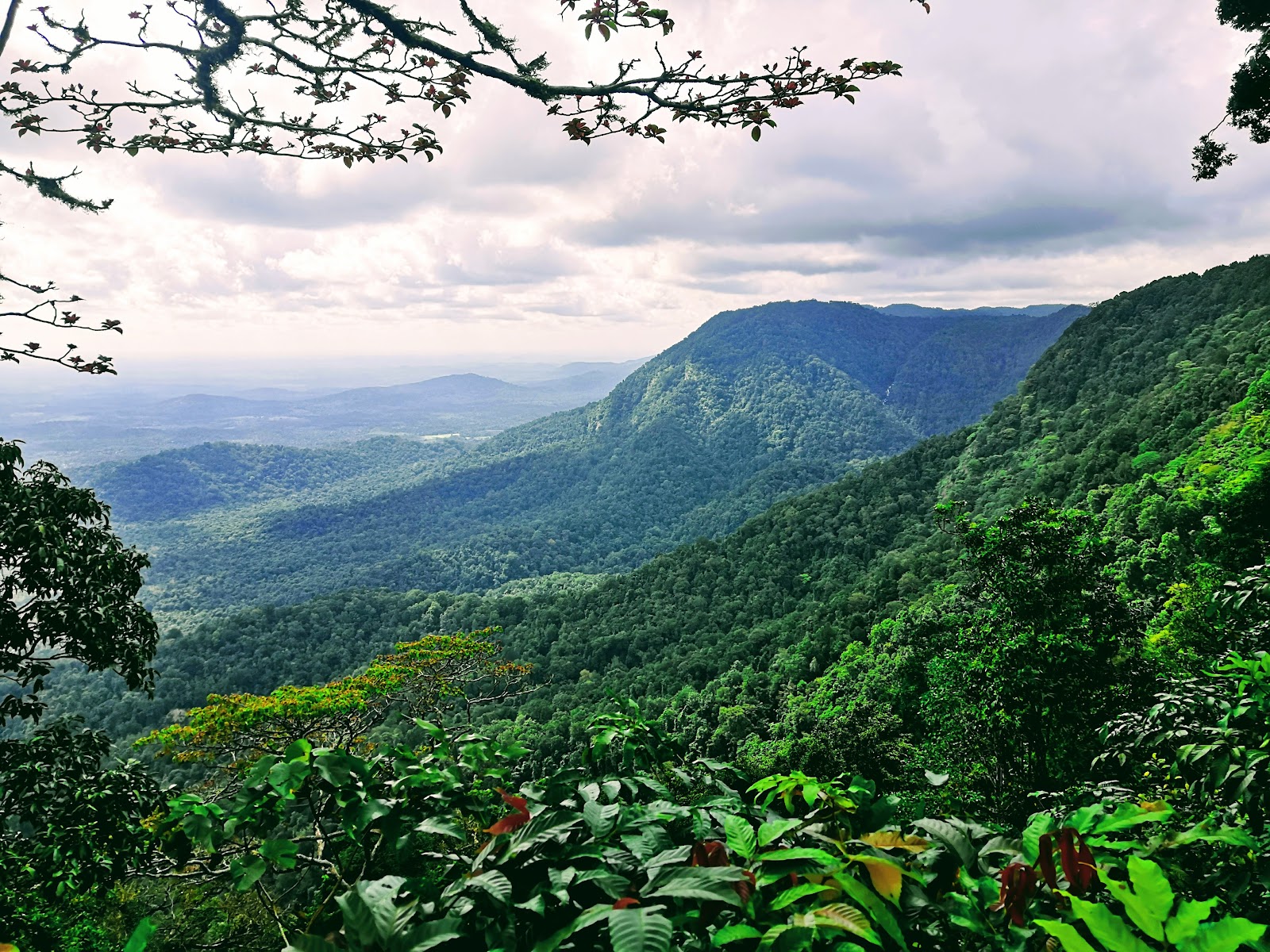 Agumbe Sunset View Point (2025) – Best of TikTok, Instagram & Reddit ...