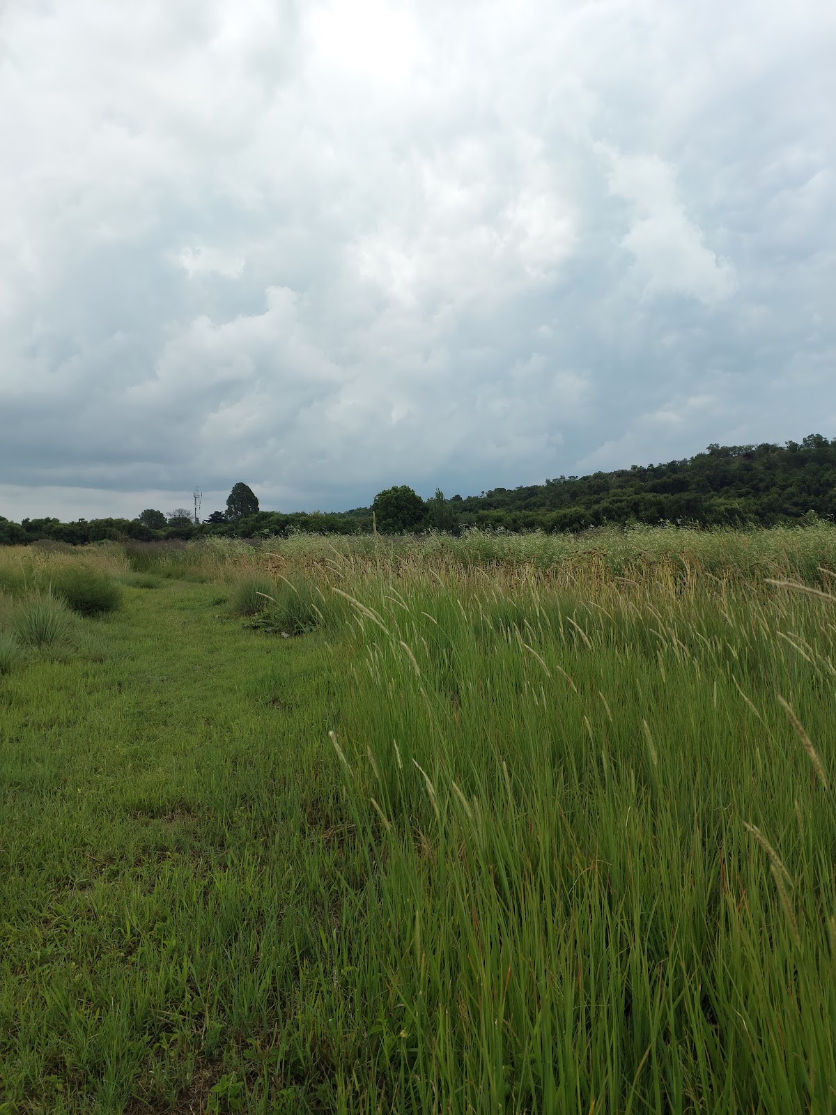 Colbyn Wetland Nature Reserve (2026) – Best of TikTok, Instagram ...