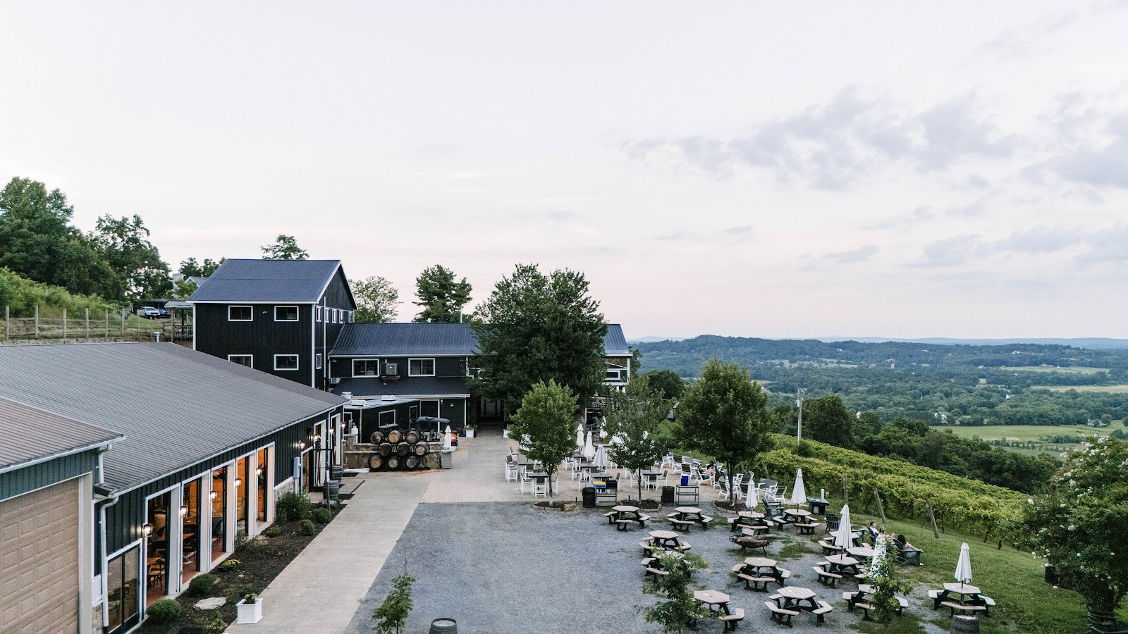 Bluemont Vineyard (2026) – Best of TikTok, Instagram & Reddit Travel Guide