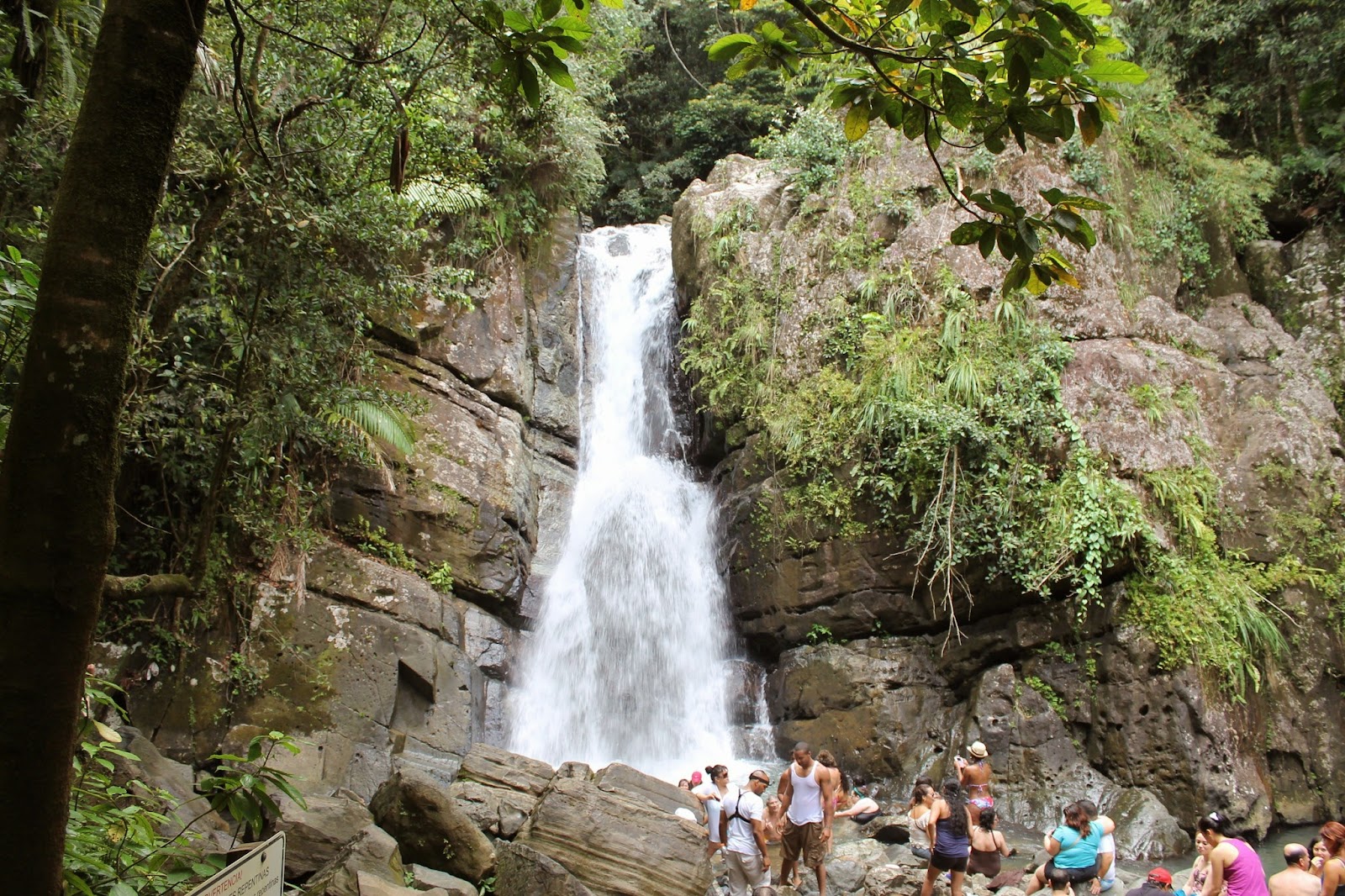 La Mina Falls El Yunque Puerto Rico (2026) – Best of TikTok, Instagram ...