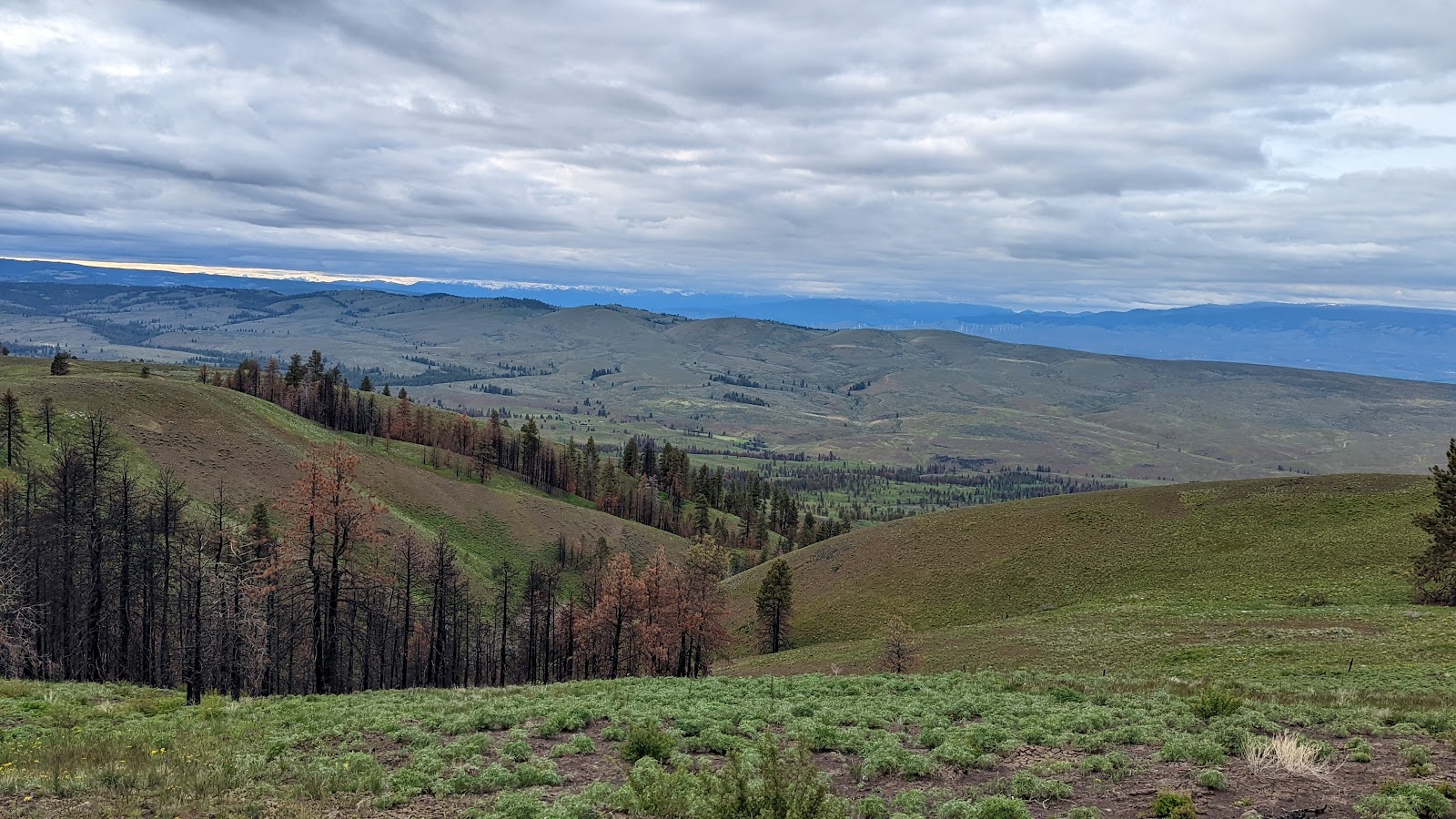Wenas Wildlife Area (2026) – Best of TikTok, Instagram & Reddit Travel ...