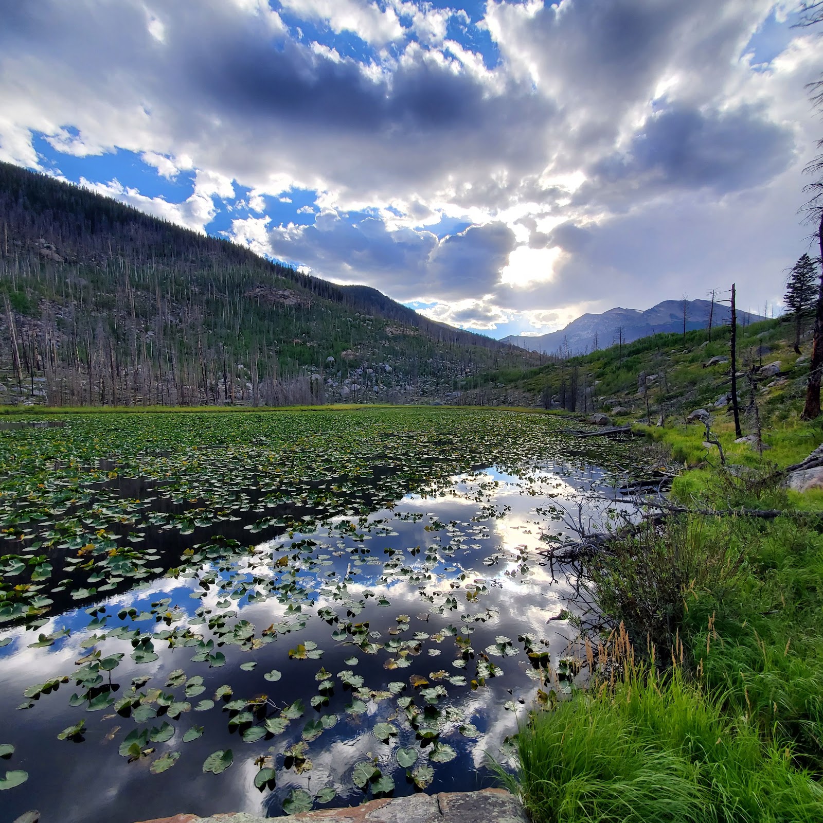 Cub Lake (2026) – Best of TikTok, Instagram & Reddit Travel Guide