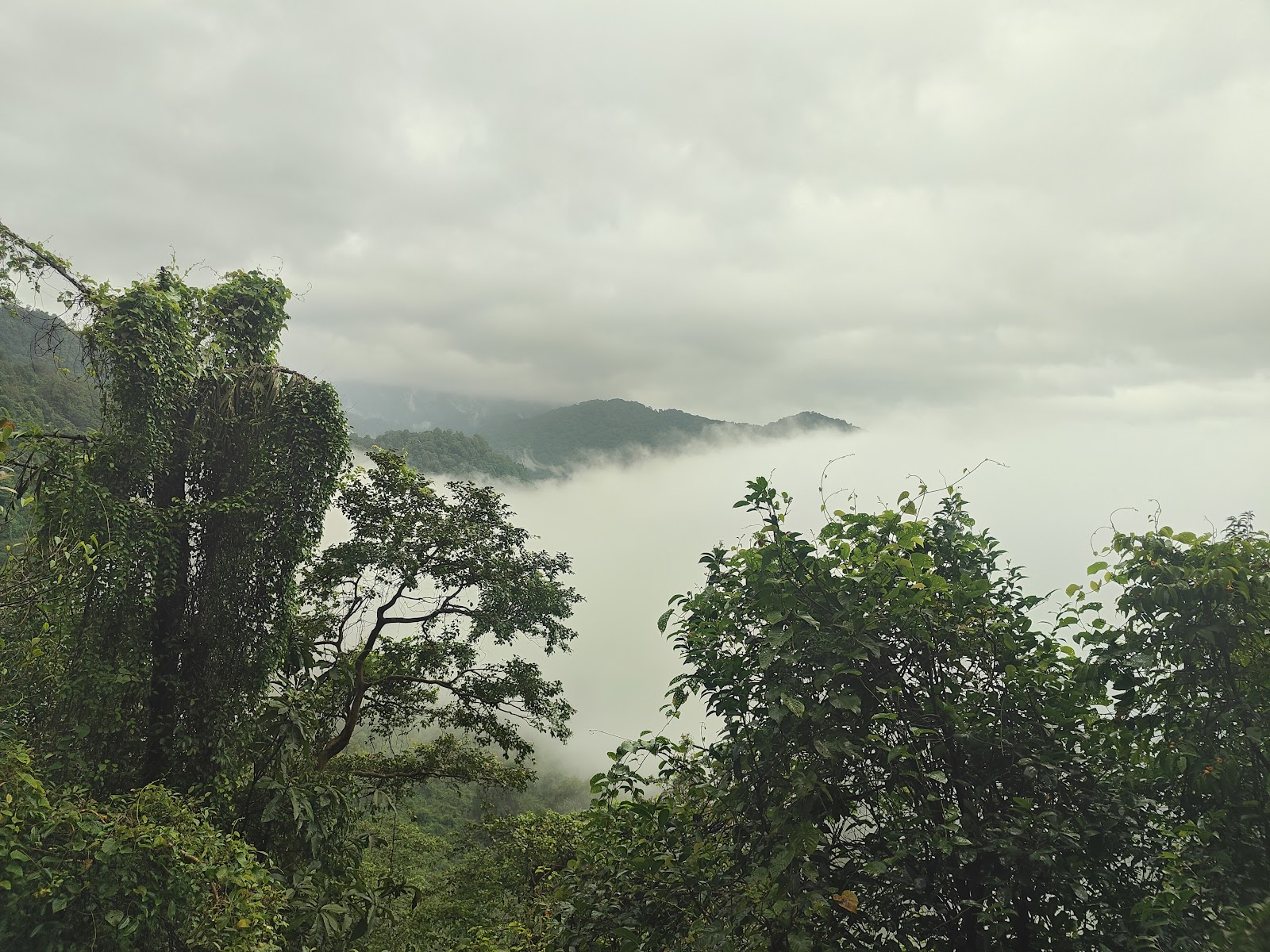 Agumbe Ghat Hairpin Bends (2025) – Best of TikTok, Instagram & Reddit ...