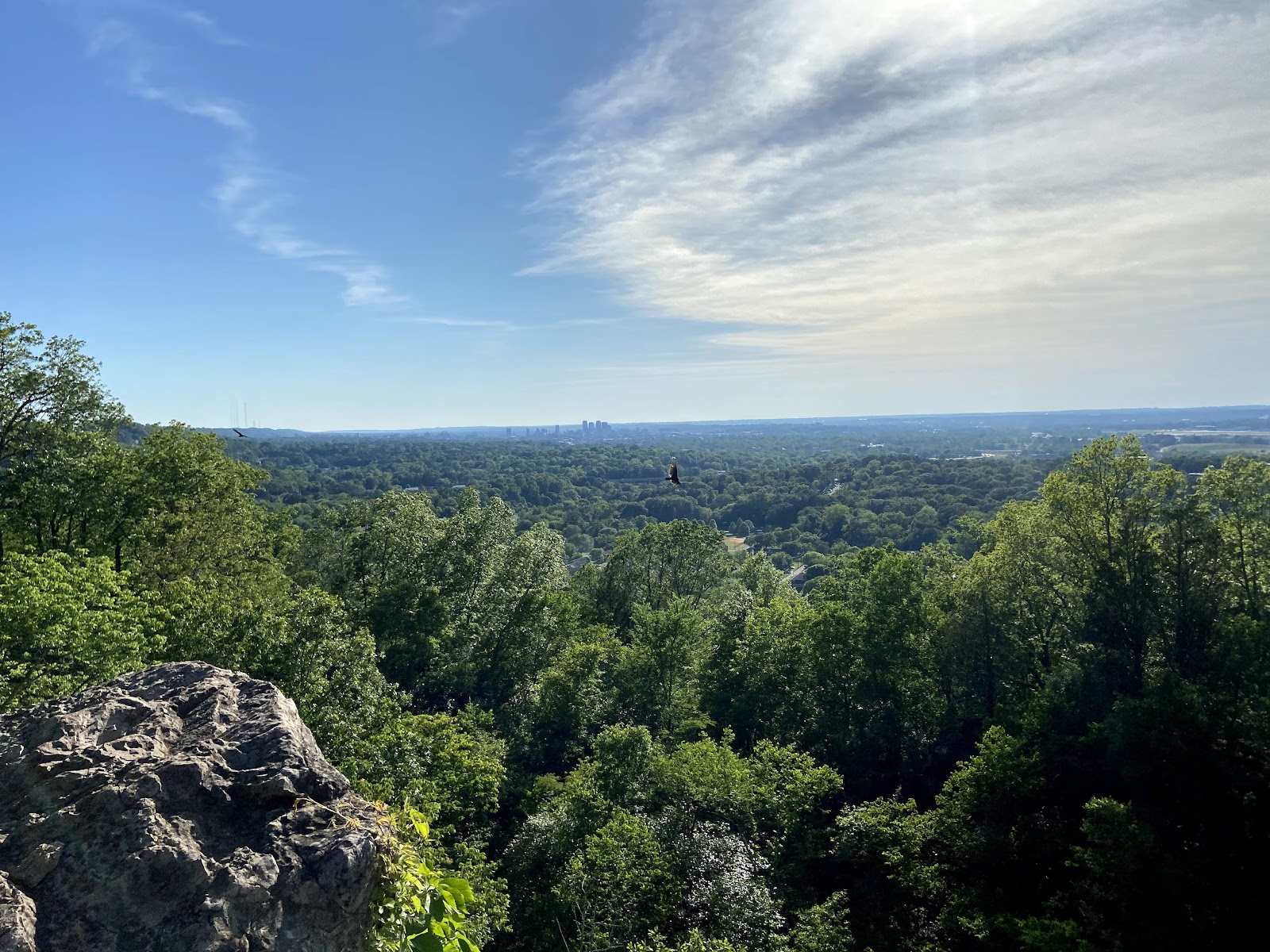 Ruffner Mountain Nature Preserve (2026) – Best of TikTok, Instagram ...