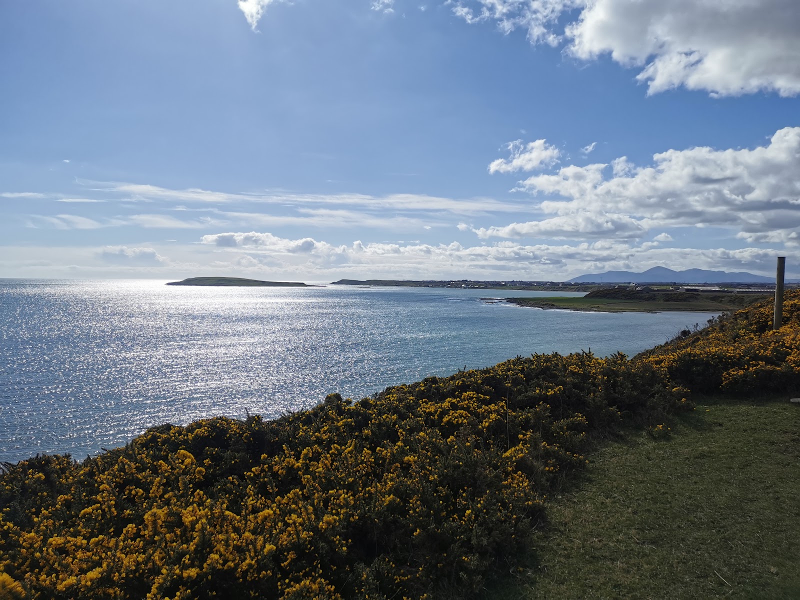 Killard National Nature Reserve (2026) – Best of TikTok, Instagram ...