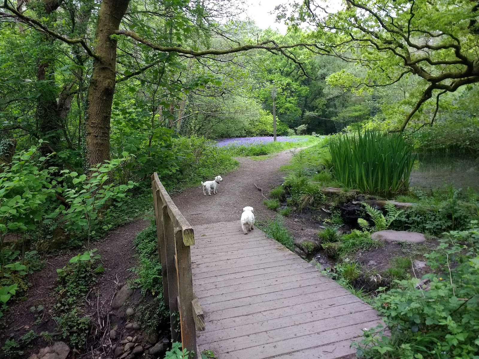 Sirhowy Valley Country Park (2026) – Best of TikTok, Instagram & Reddit ...