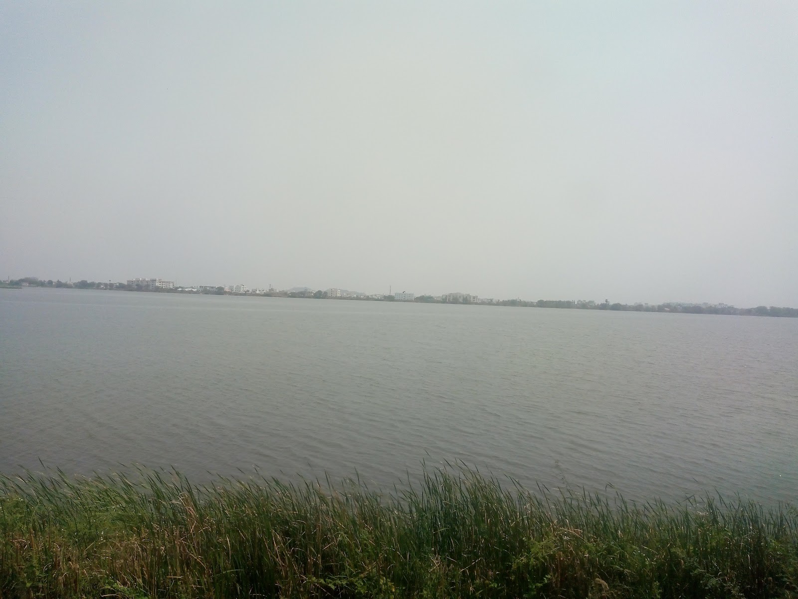 Waddepally Lake (2026) – Best of TikTok, Instagram & Reddit Travel Guide