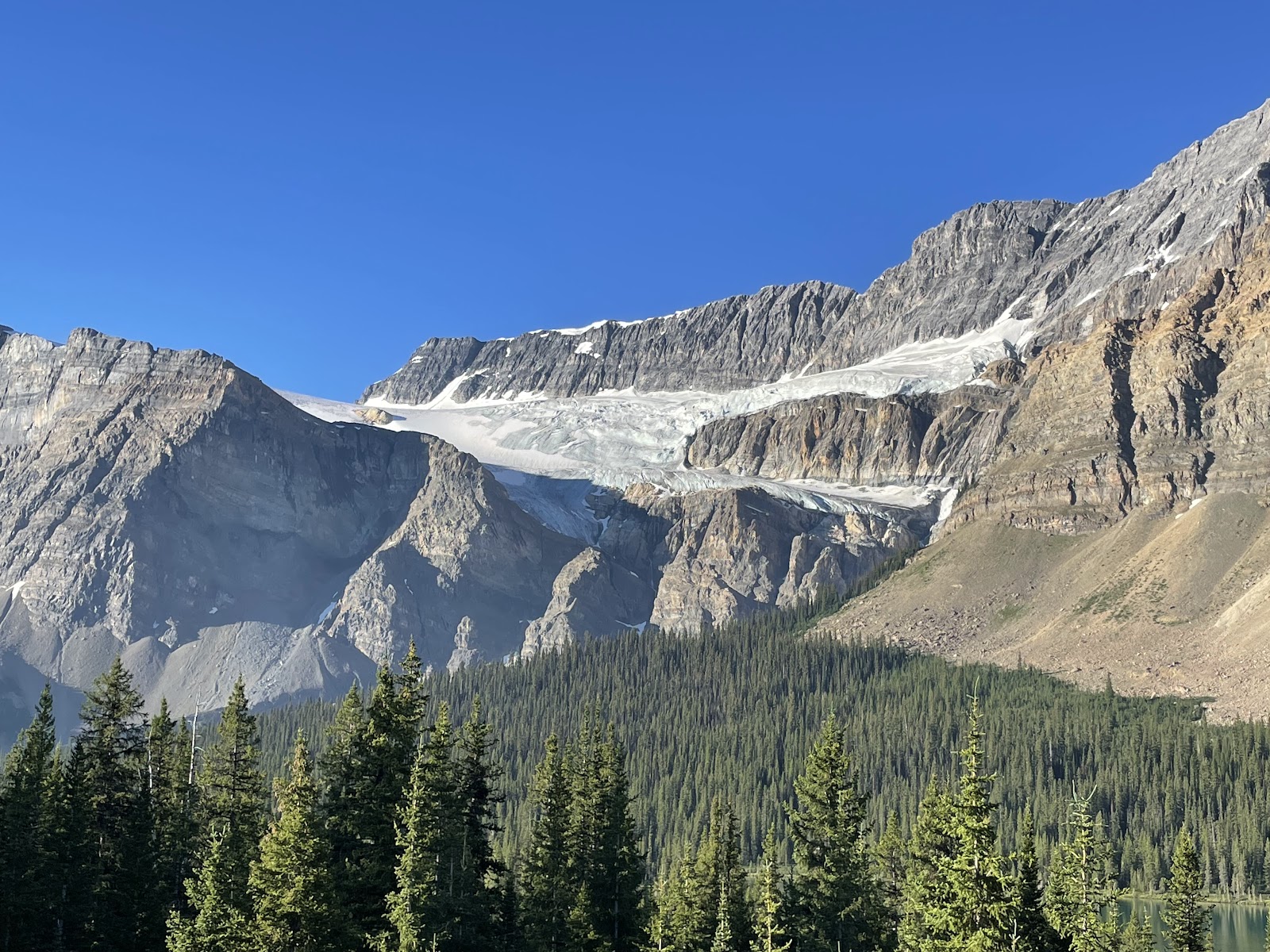 Crowfoot Glacier Viewpoint (2025) – Best of TikTok, Instagram & Reddit ...