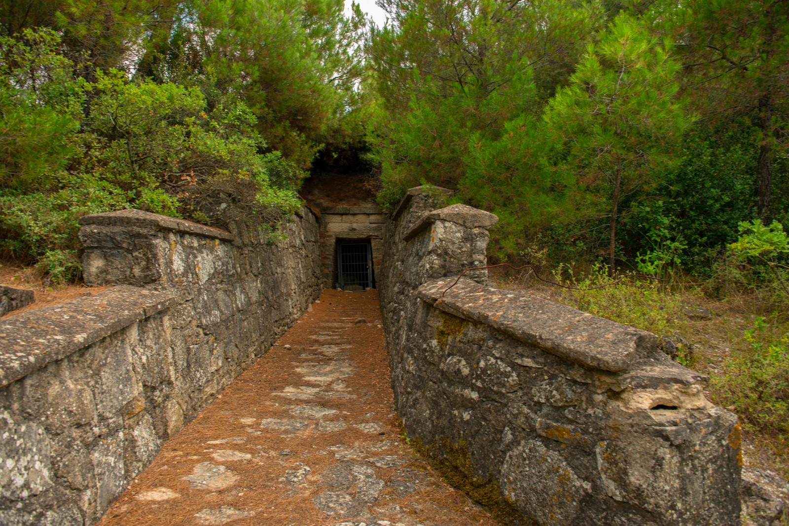 Dardanos Tumulus (2026) – Best of TikTok, Instagram & Reddit Travel Guide