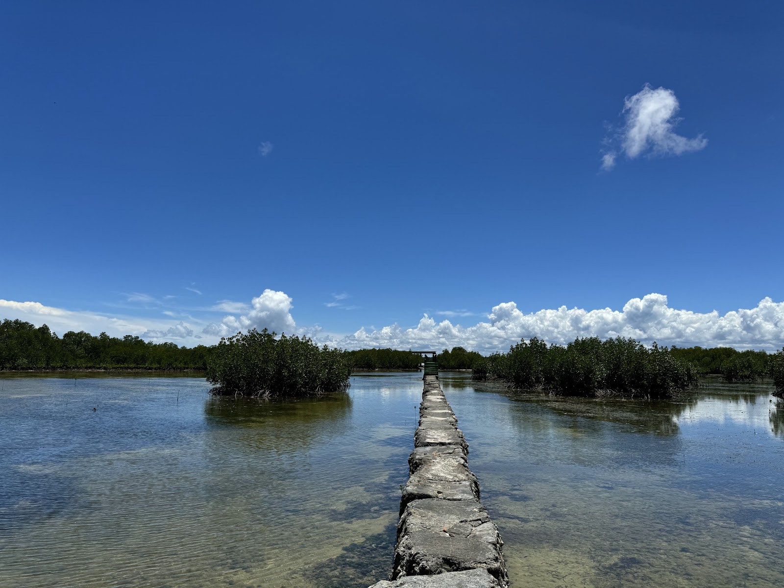 Olango Island (2025) – Best of TikTok, Instagram & Reddit Travel Guide
