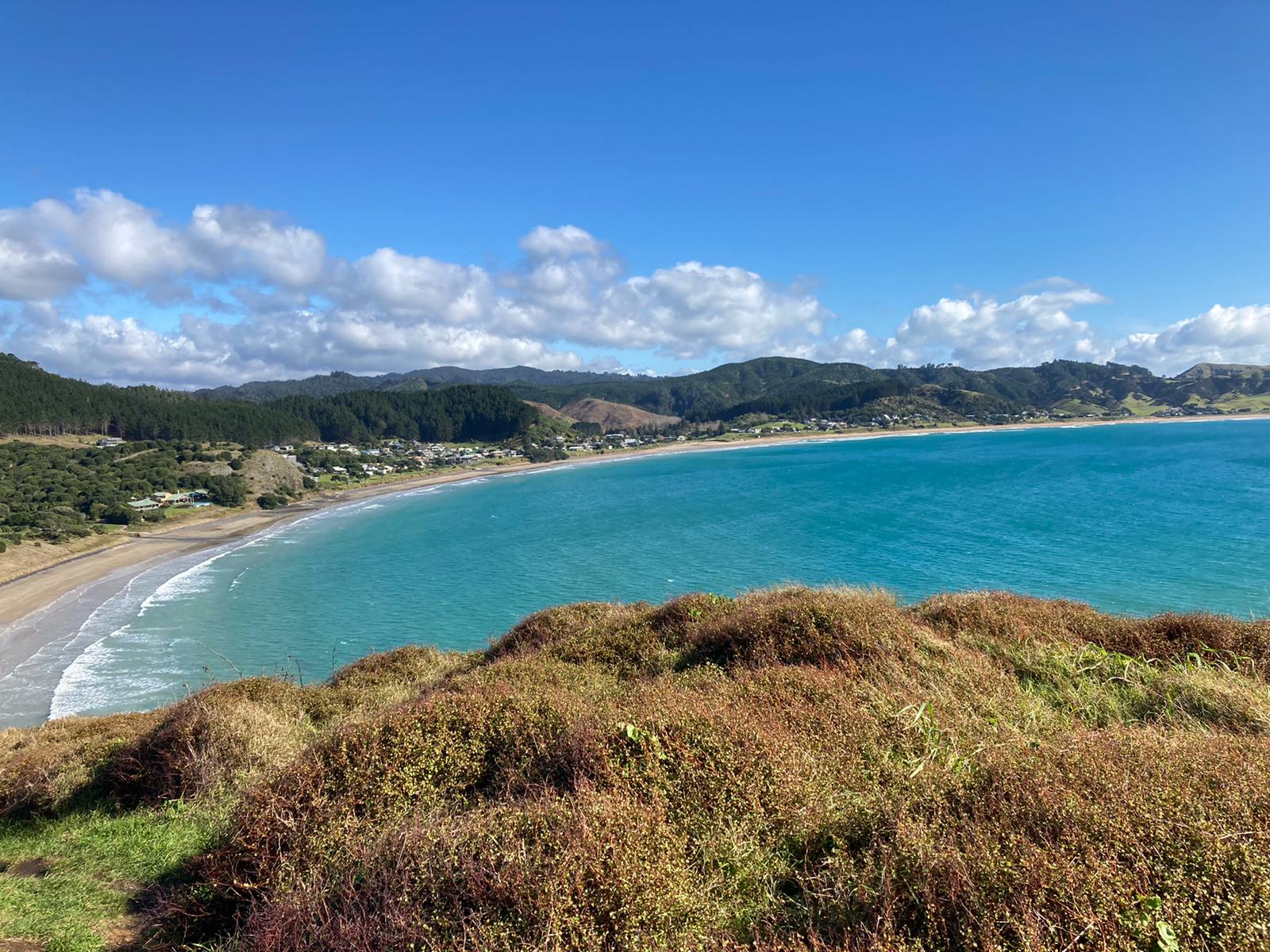 Opito Bay New Zealand (2025) – Best of TikTok, Instagram & Reddit ...