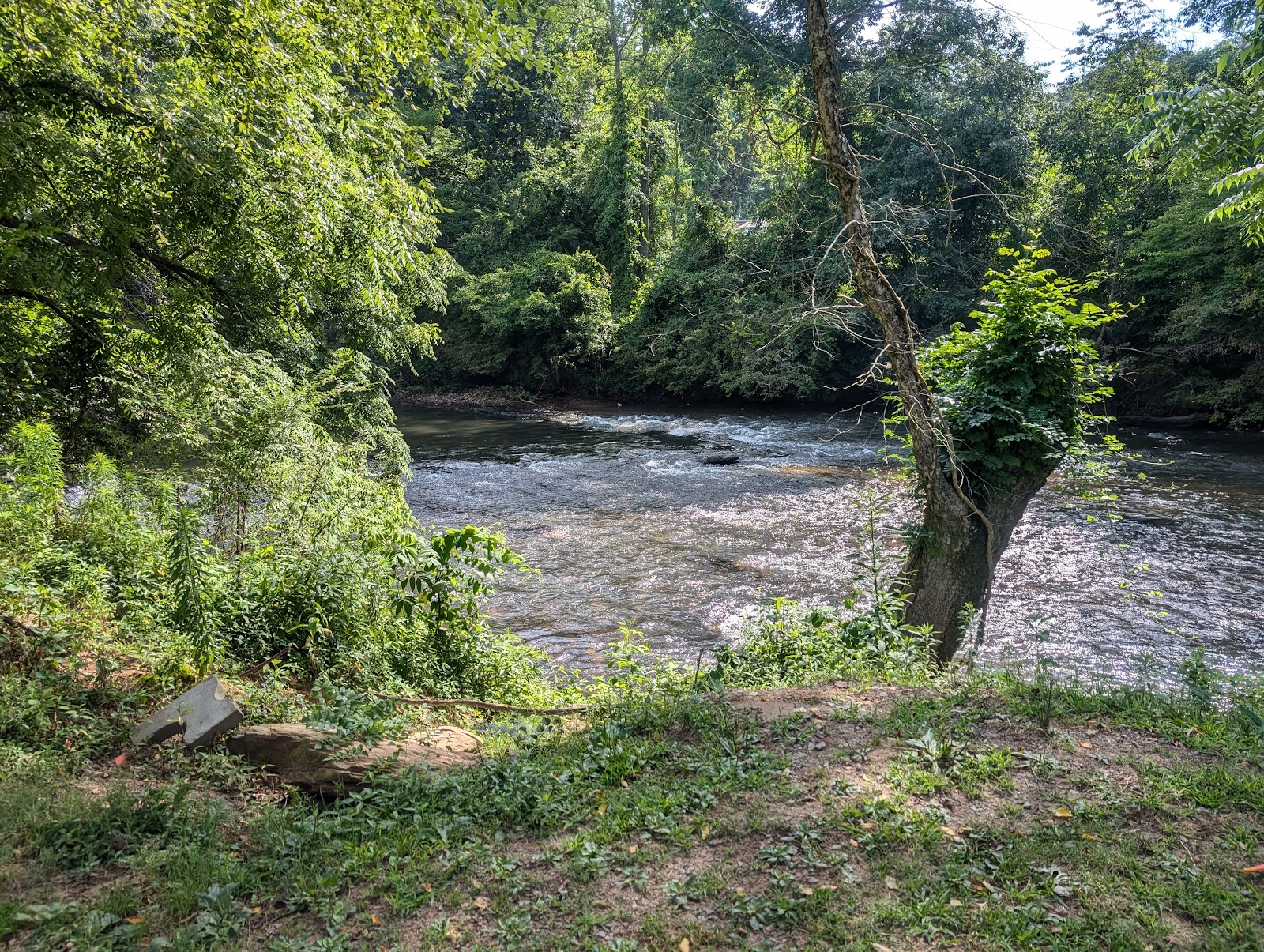 Ellijay River Park (2026) – Best of TikTok, Instagram & Reddit Travel Guide