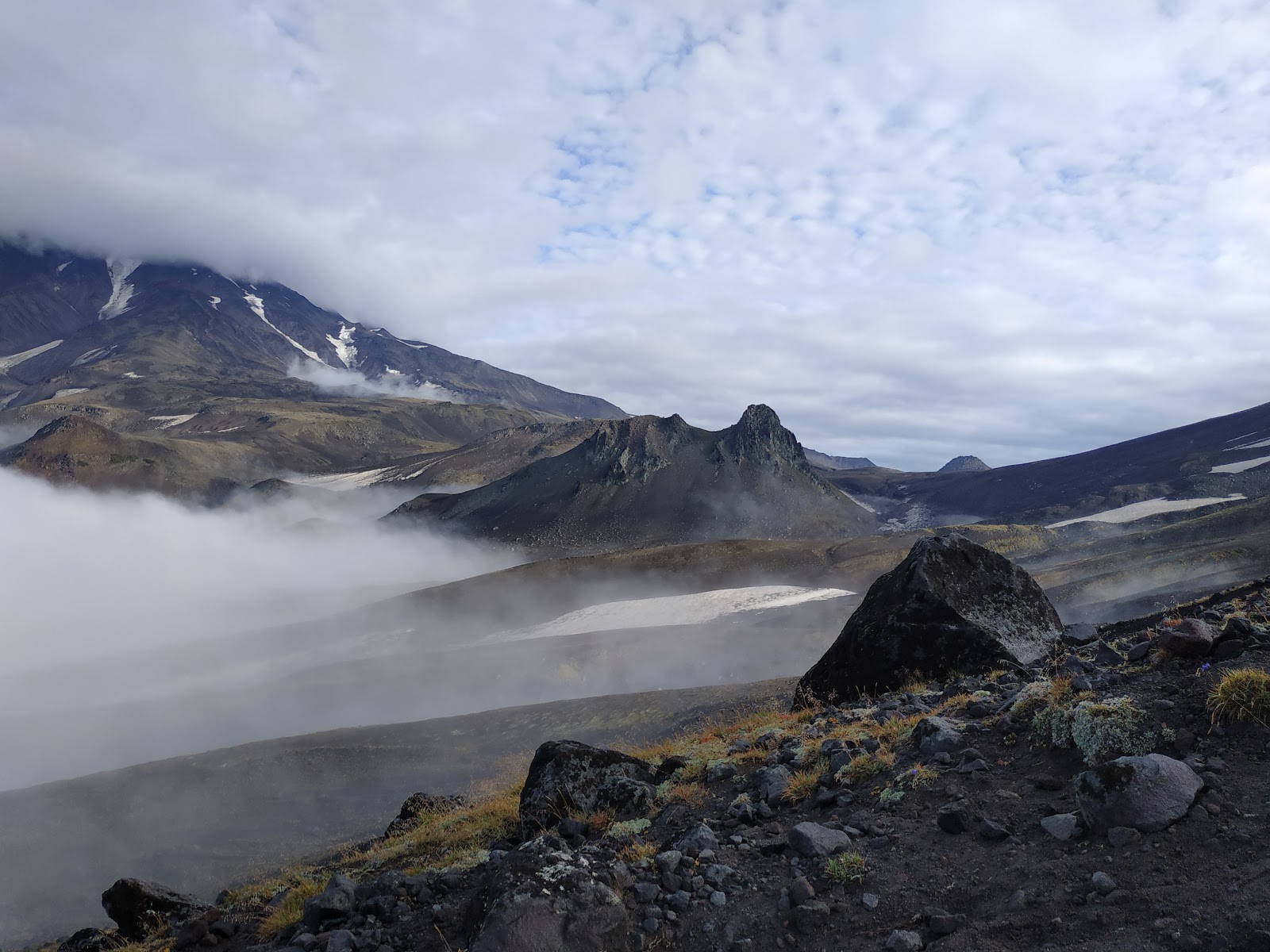 Camel Mountain Verblud (2025) – Best of TikTok, Instagram & Reddit ...