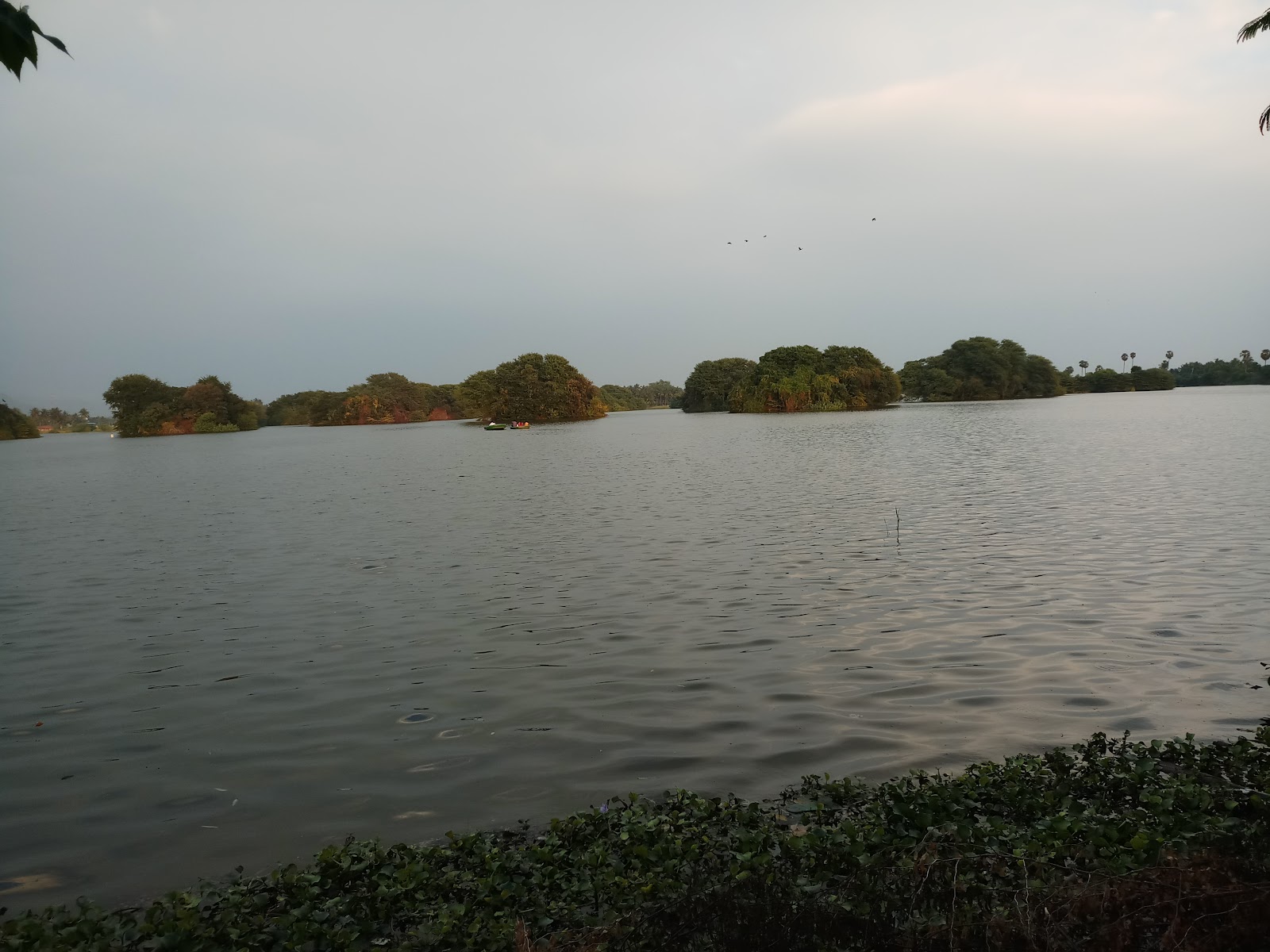 Kannankurichi Lake (2026) – Best of TikTok, Instagram & Reddit Travel Guide