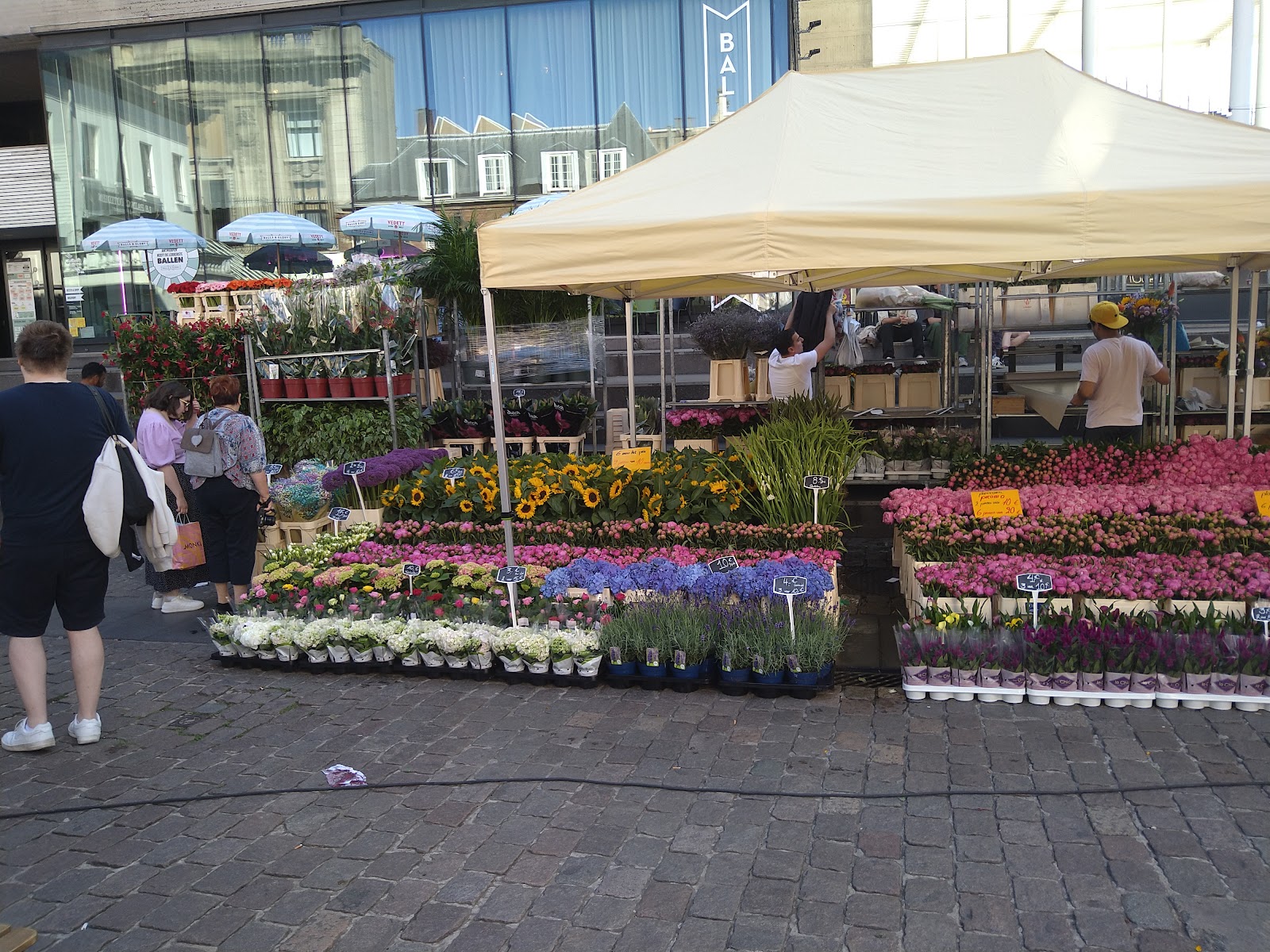 Exotic Market (Saturday) (2026) – Best of TikTok, Instagram & Reddit ...
