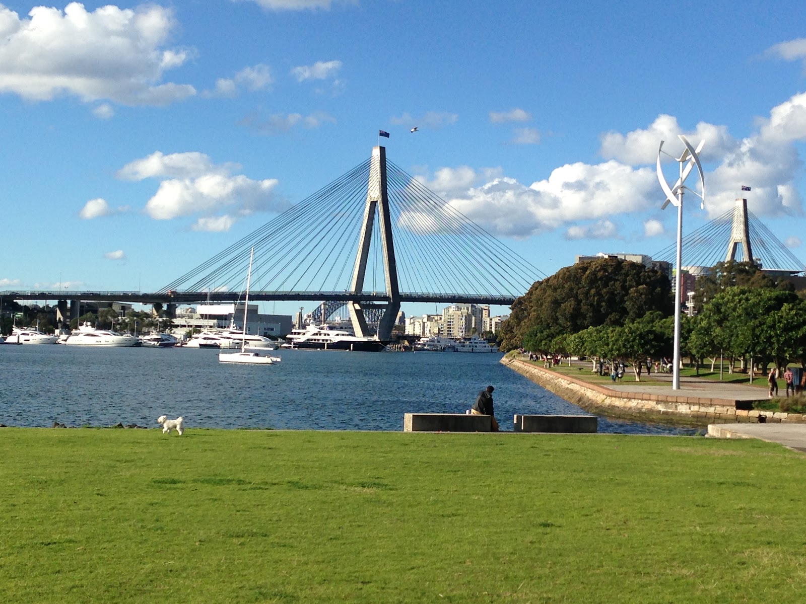 Glebe Foreshore Walk Sydney (2026) – Best of TikTok, Instagram & Reddit ...