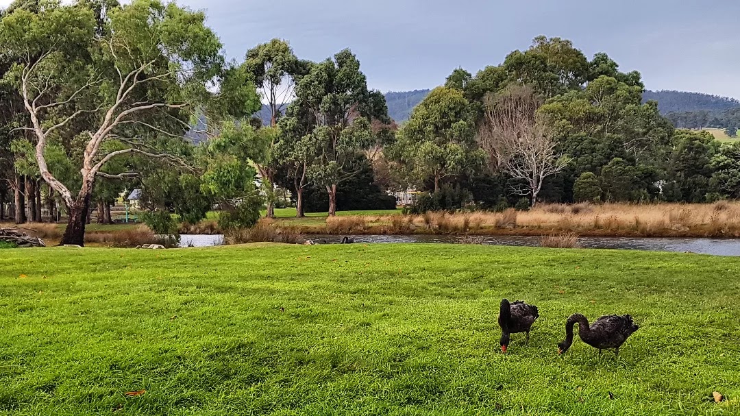 Huon Valley Tasmania (2025) – Best of TikTok, Instagram & Reddit Travel ...
