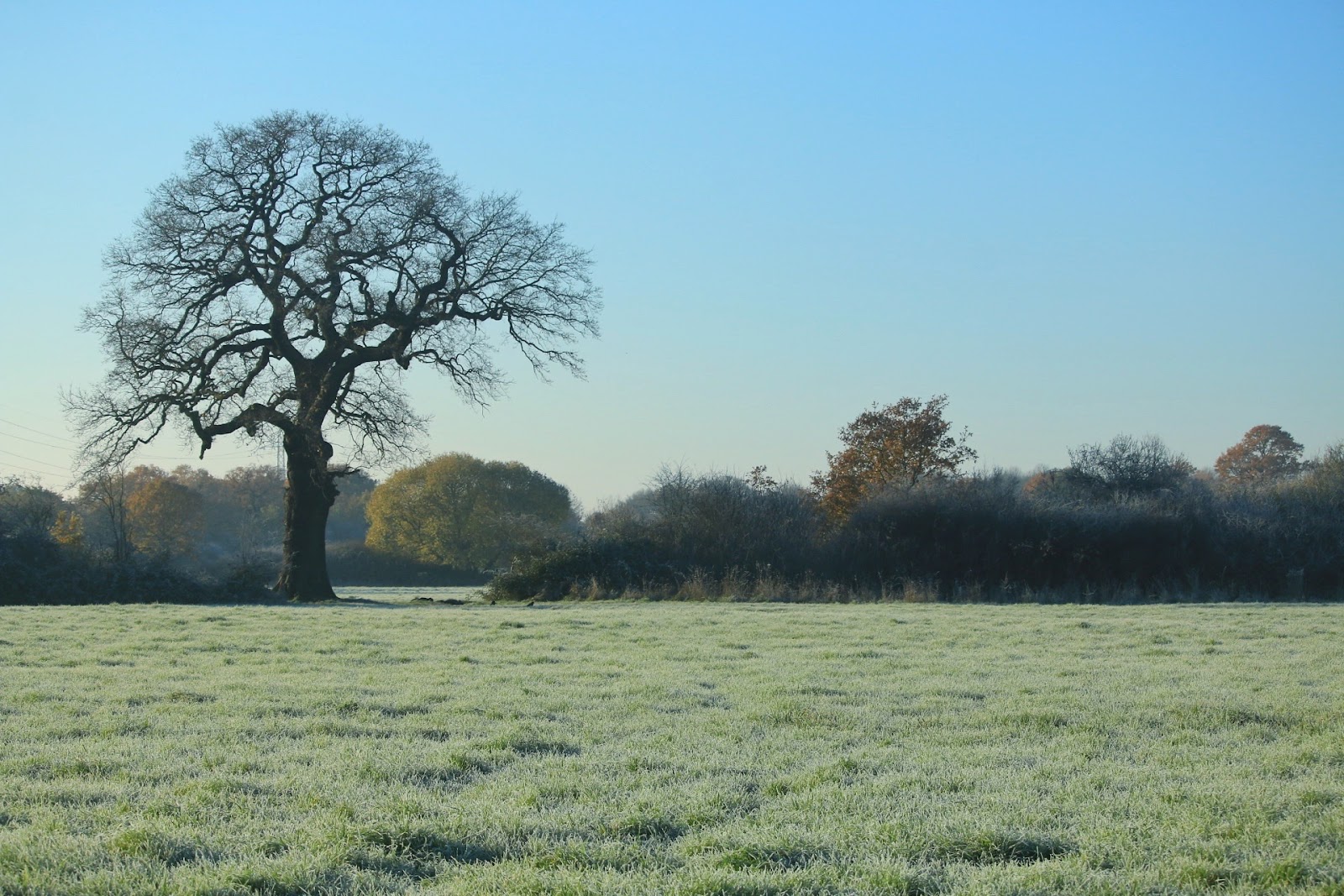 Tolworth Court Farm Fields Local Nature Reserve (2026) – Best of TikTok ...