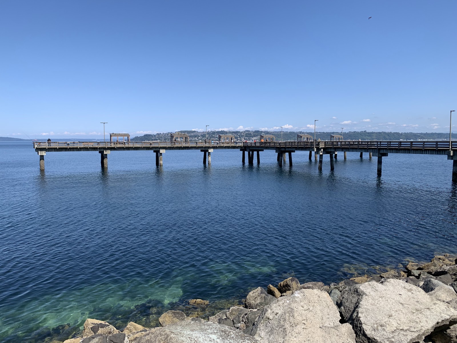 Les Davis Pier (2026) – Best of TikTok, Instagram & Reddit Travel Guide