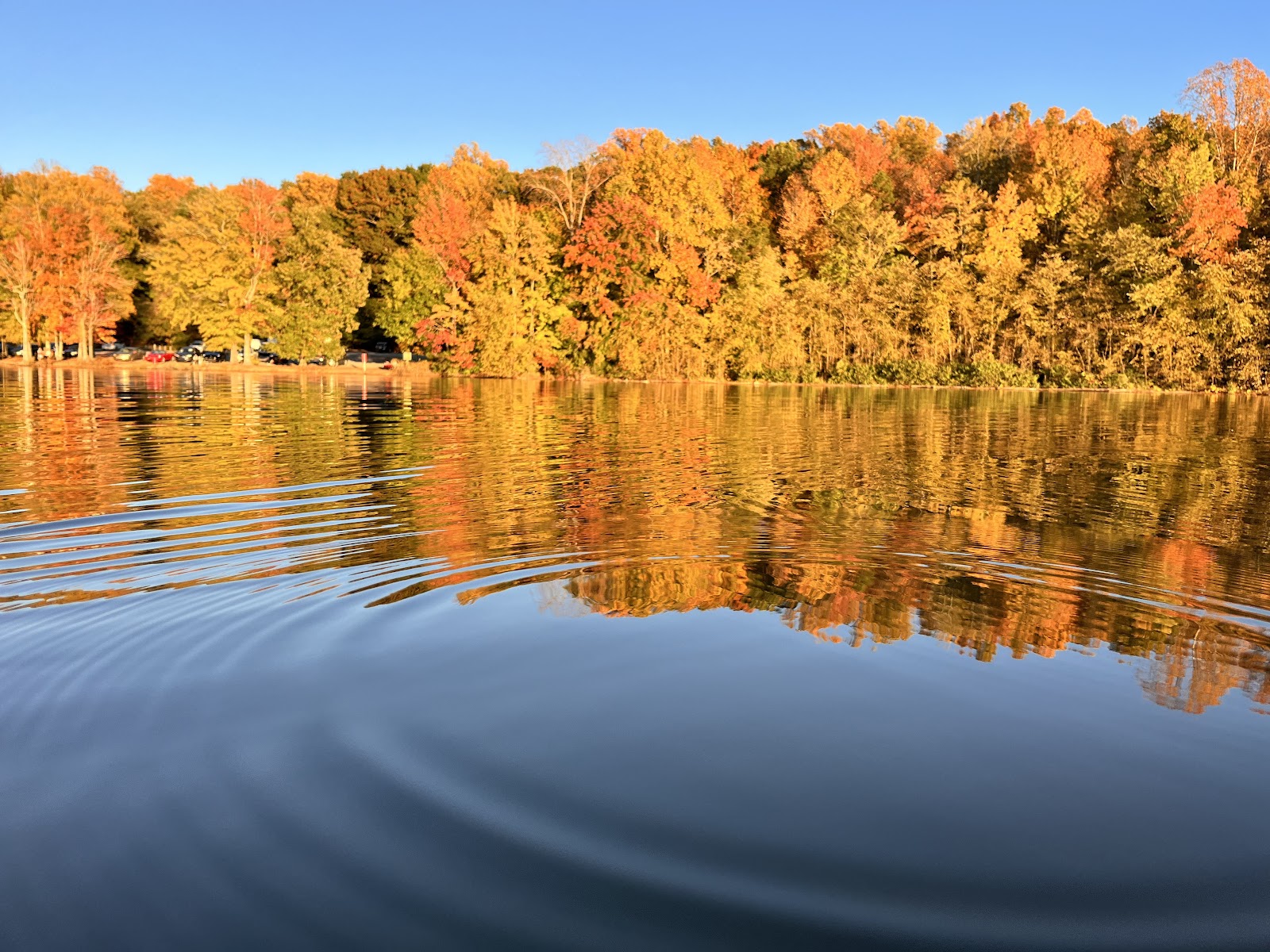 Lake Brandt Greensboro (2026) – Best of TikTok, Instagram & Reddit ...