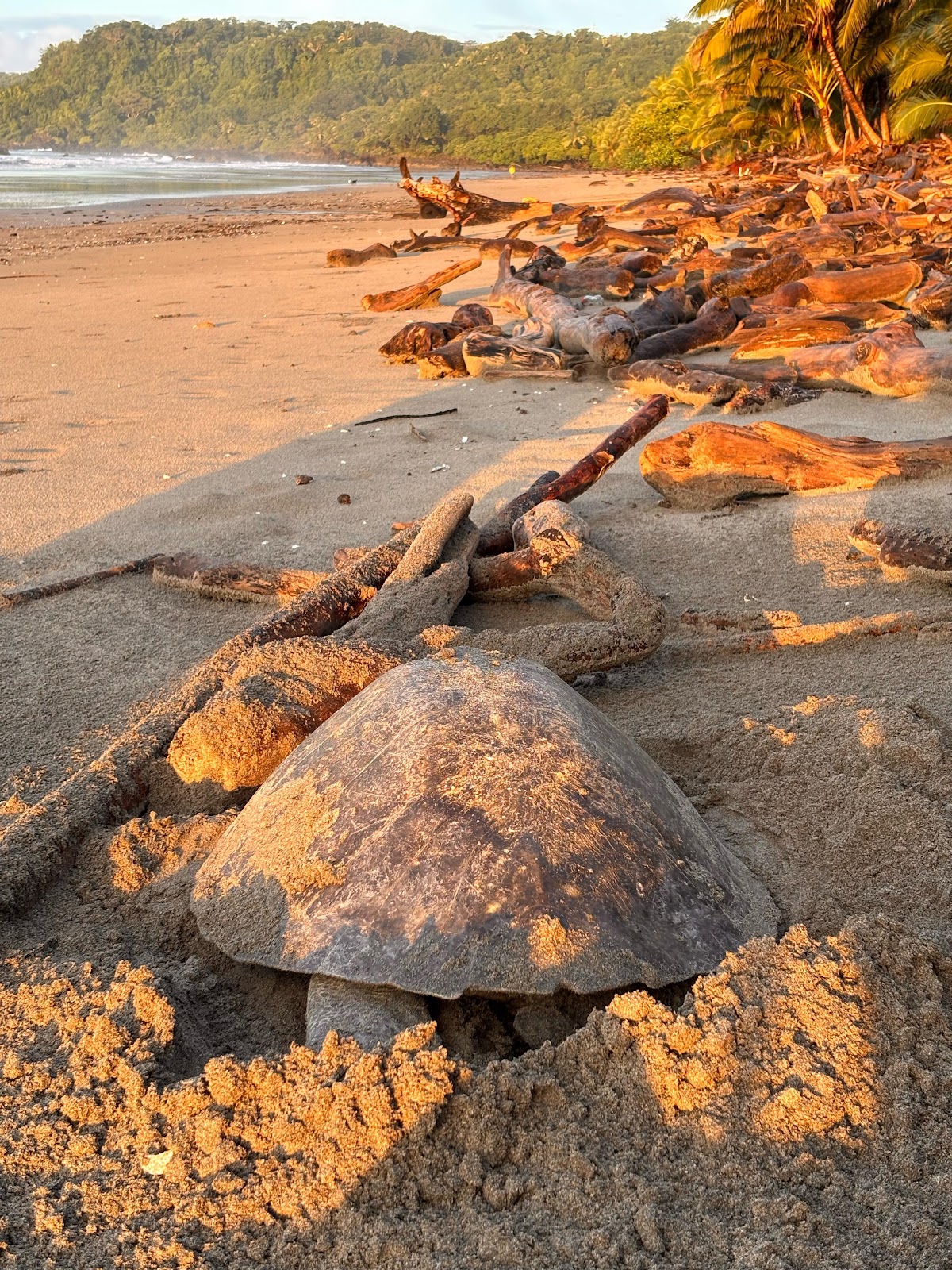 Romelia Wildlife Refuge (2026) – Best of TikTok, Instagram & Reddit ...